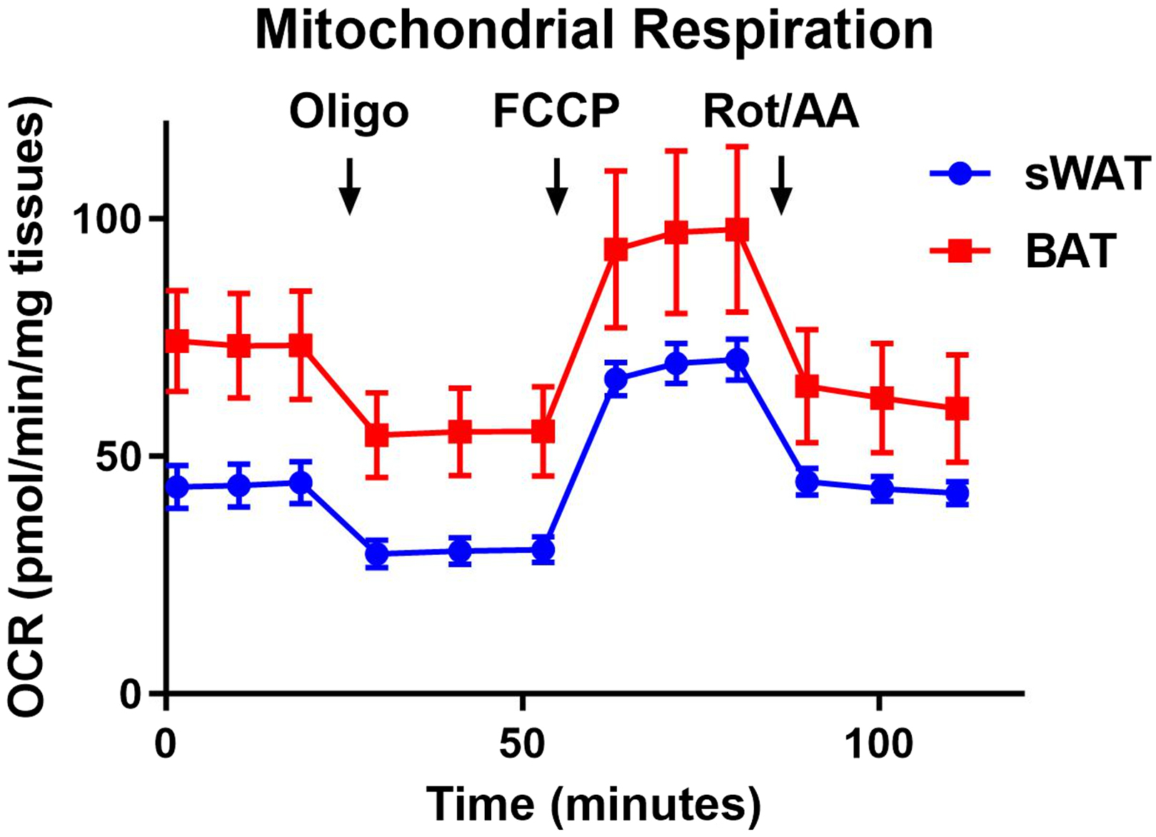 Cell Press: STAR Protocols
