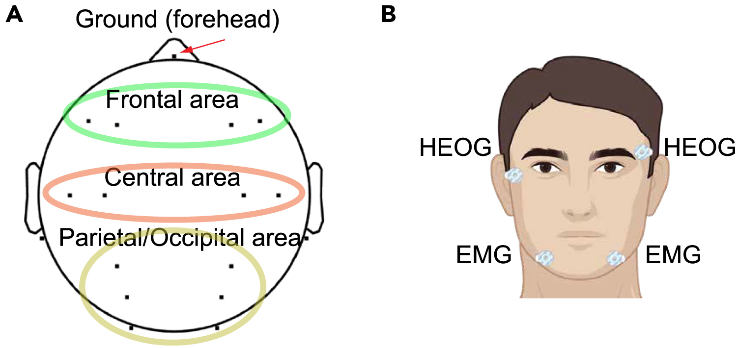 Cell Press: STAR Protocols
