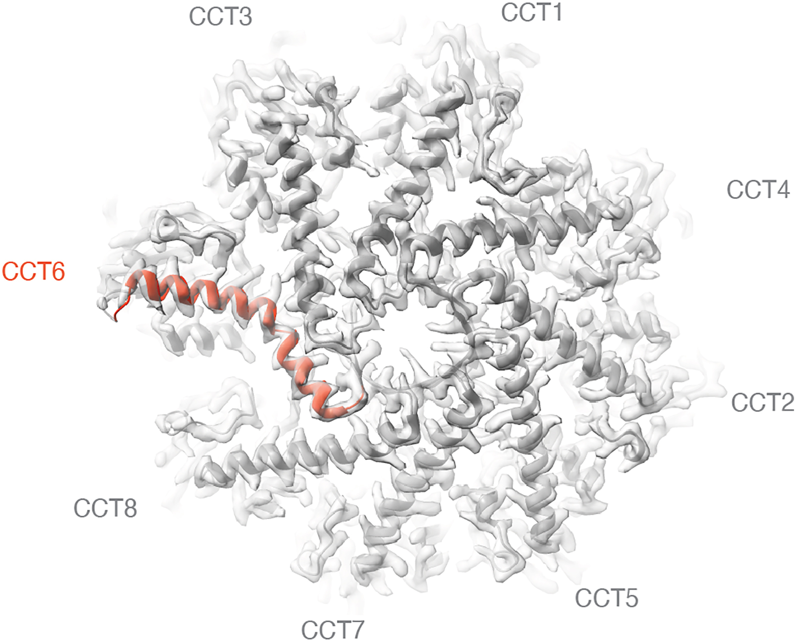 Cell Press: STAR Protocols