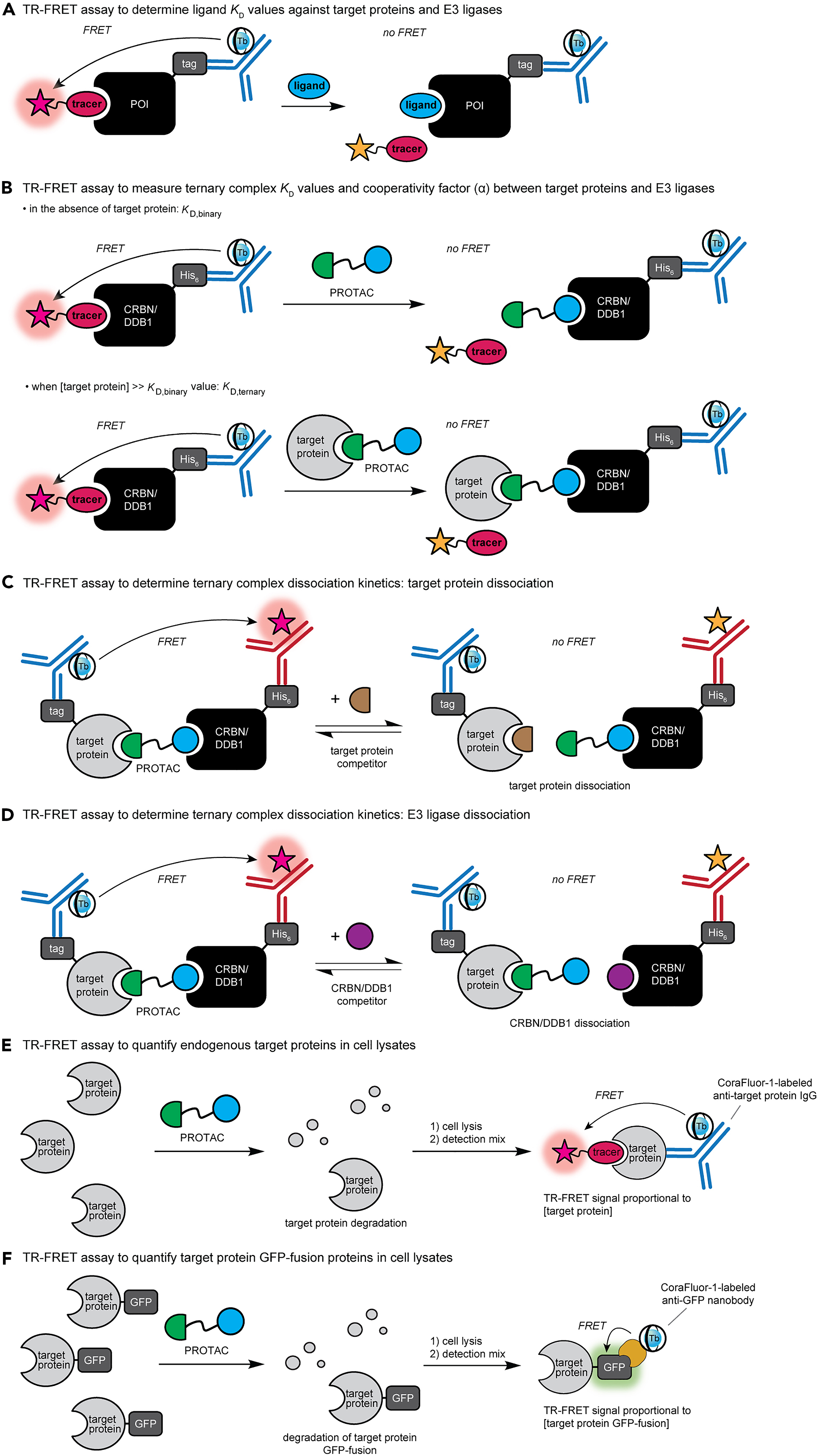 Cell Press: STAR Protocols