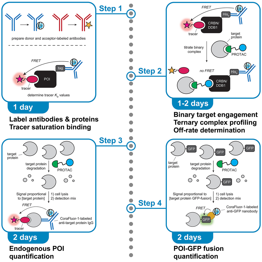 Cell Press: STAR Protocols