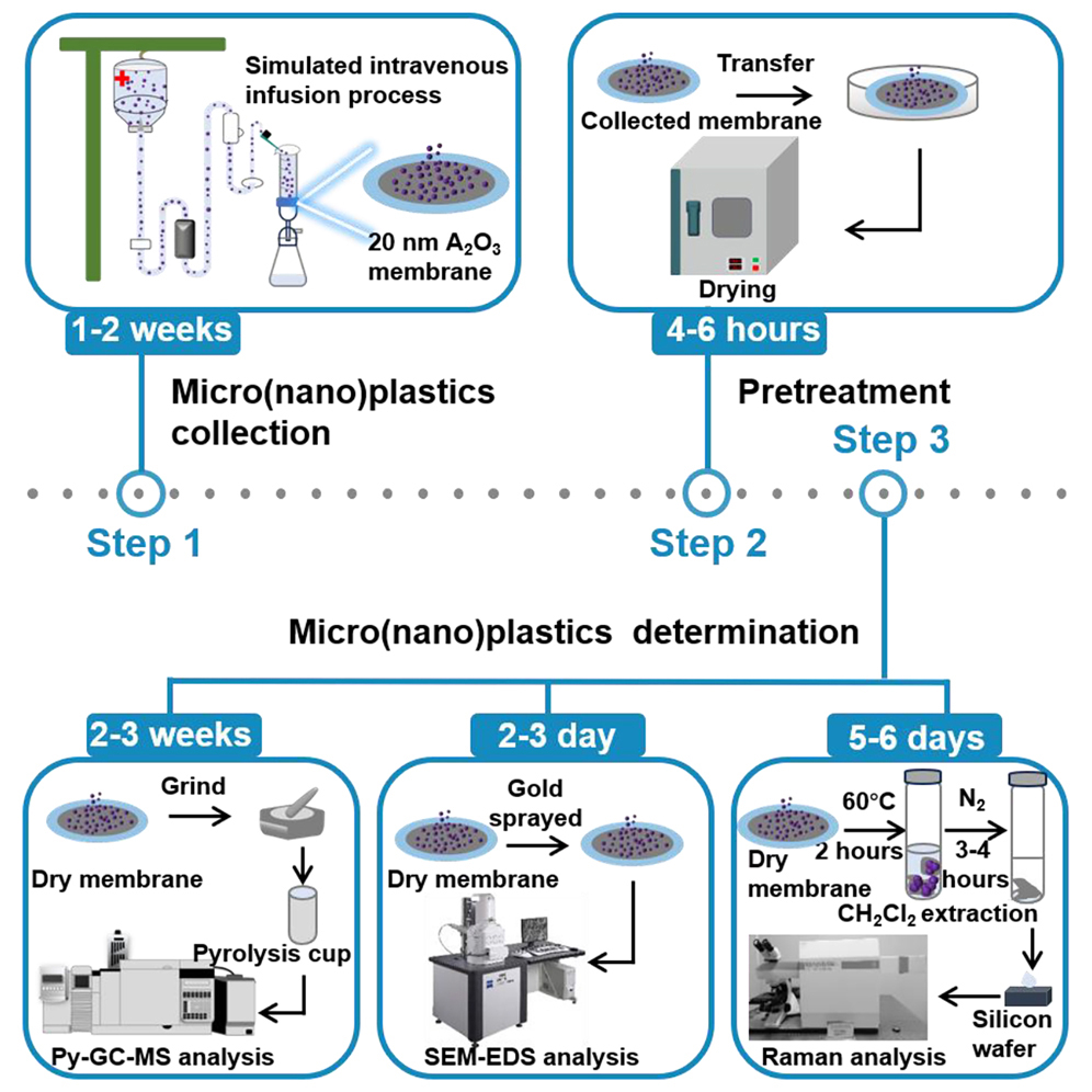 Cell Press: STAR Protocols
