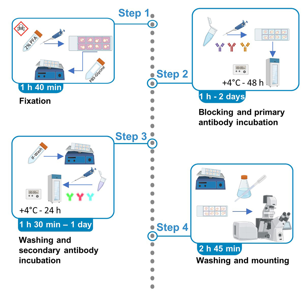 Cell Press: STAR Protocols