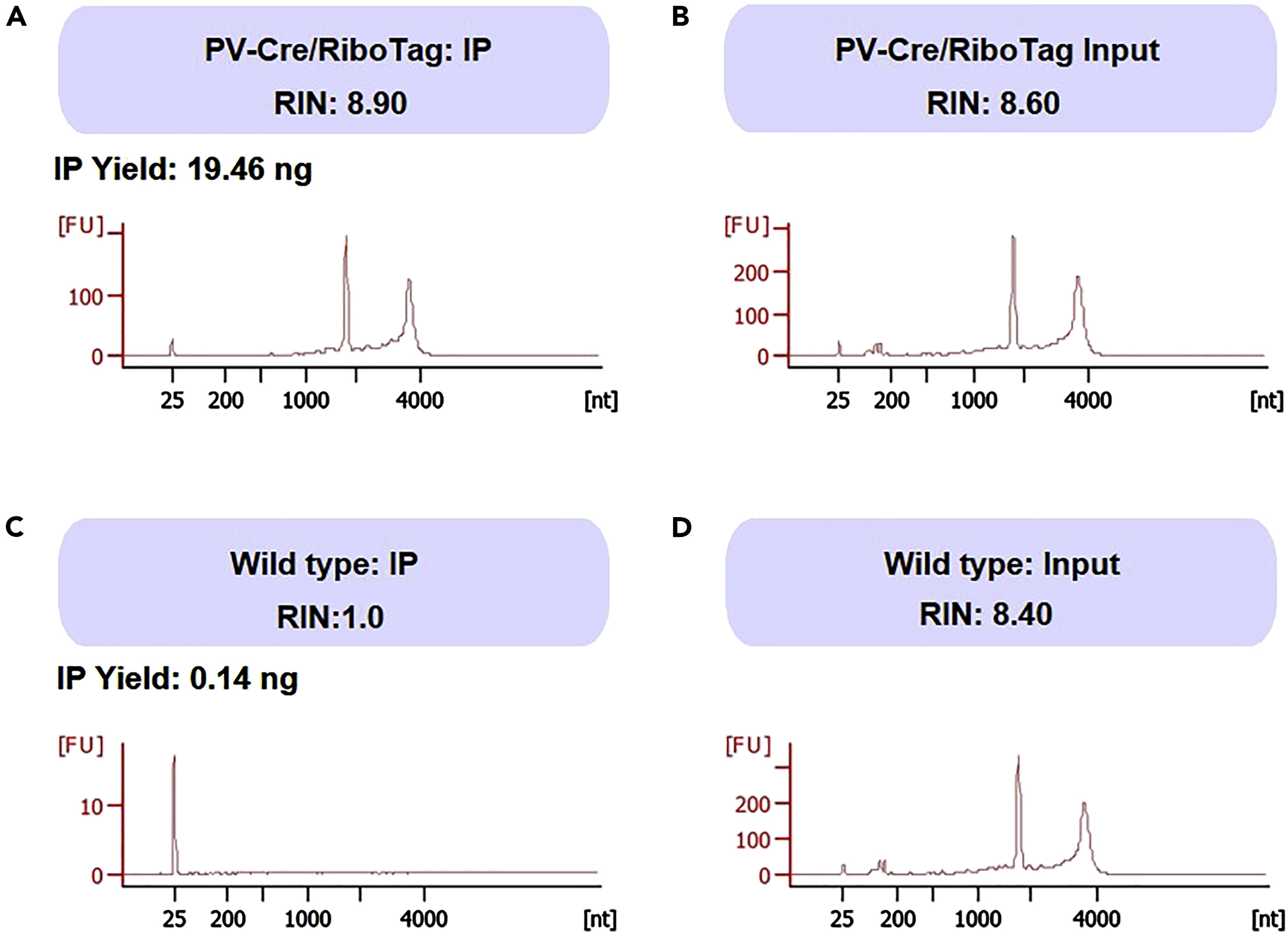 Cell Press: STAR Protocols