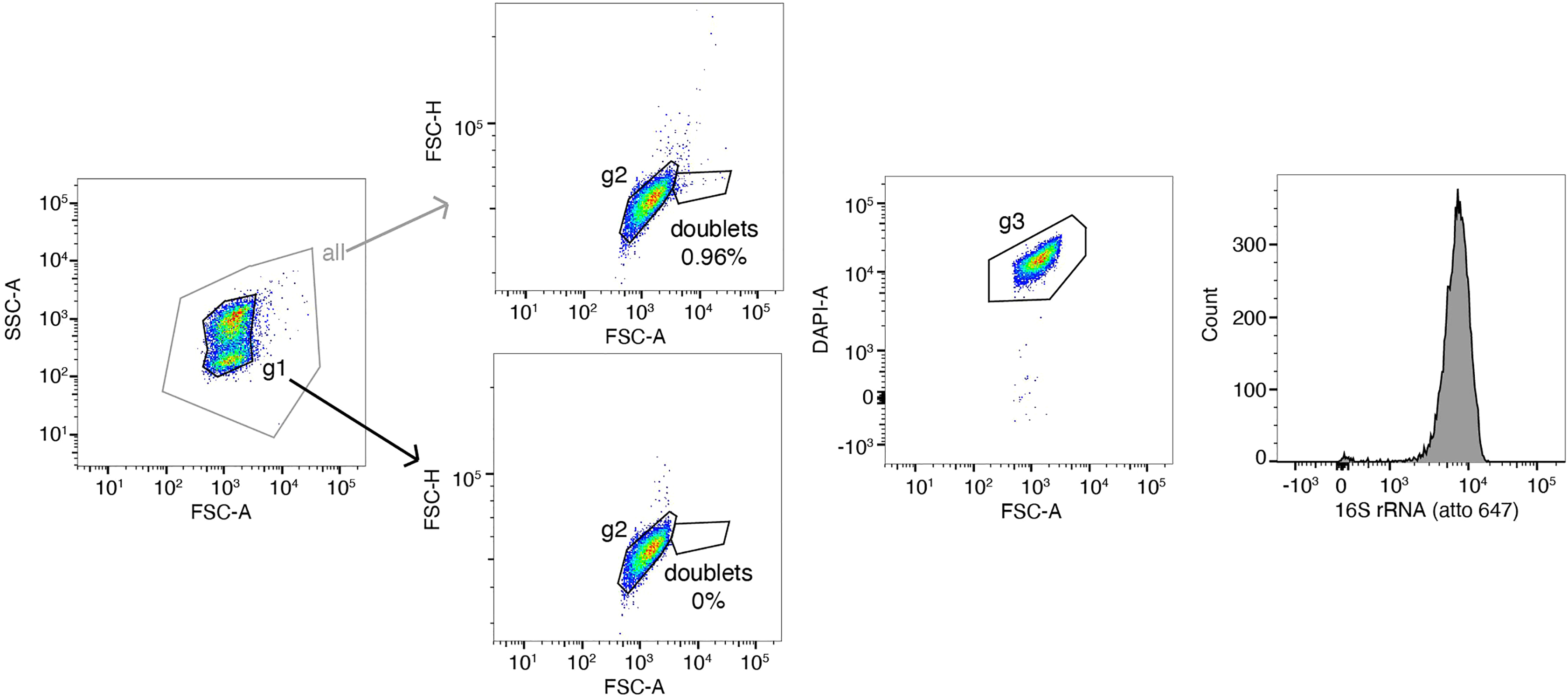 Cell Press: STAR Protocols
