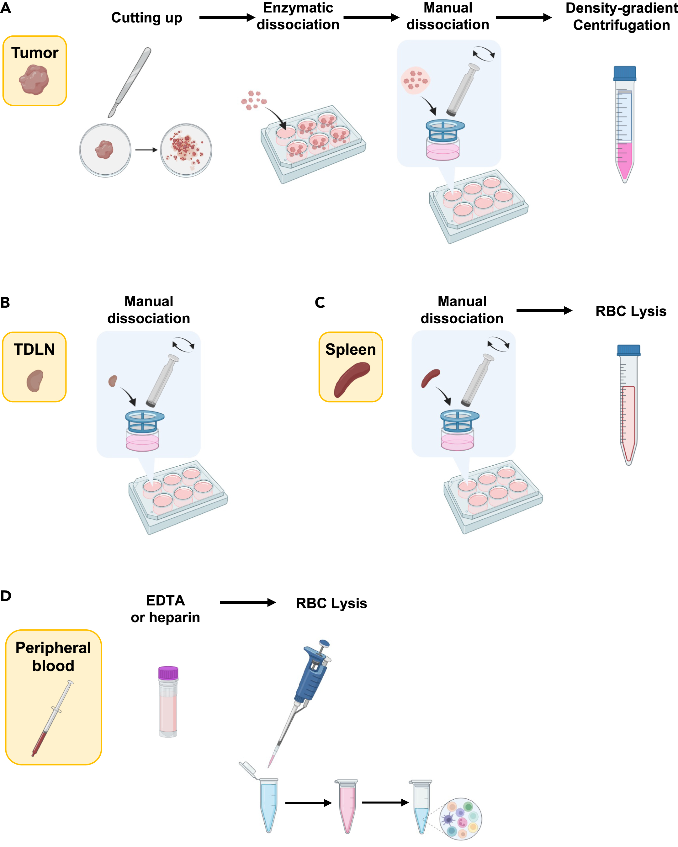 Cell Press: STAR Protocols