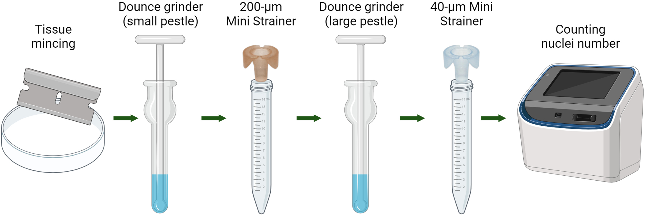 Cell Press: STAR Protocols