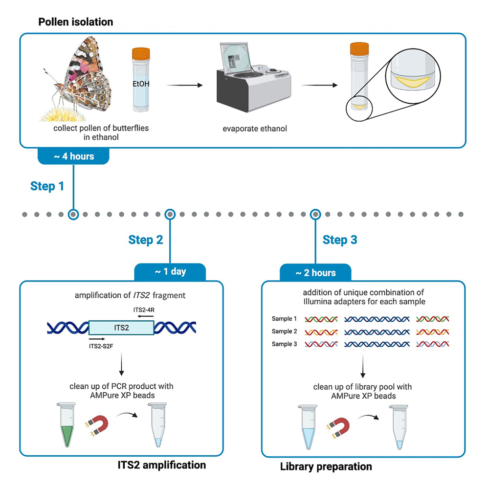 Cell Press: STAR Protocols