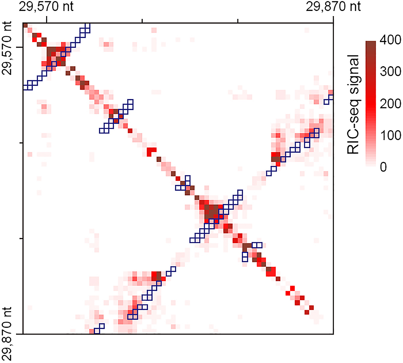 Cell Press: STAR Protocols