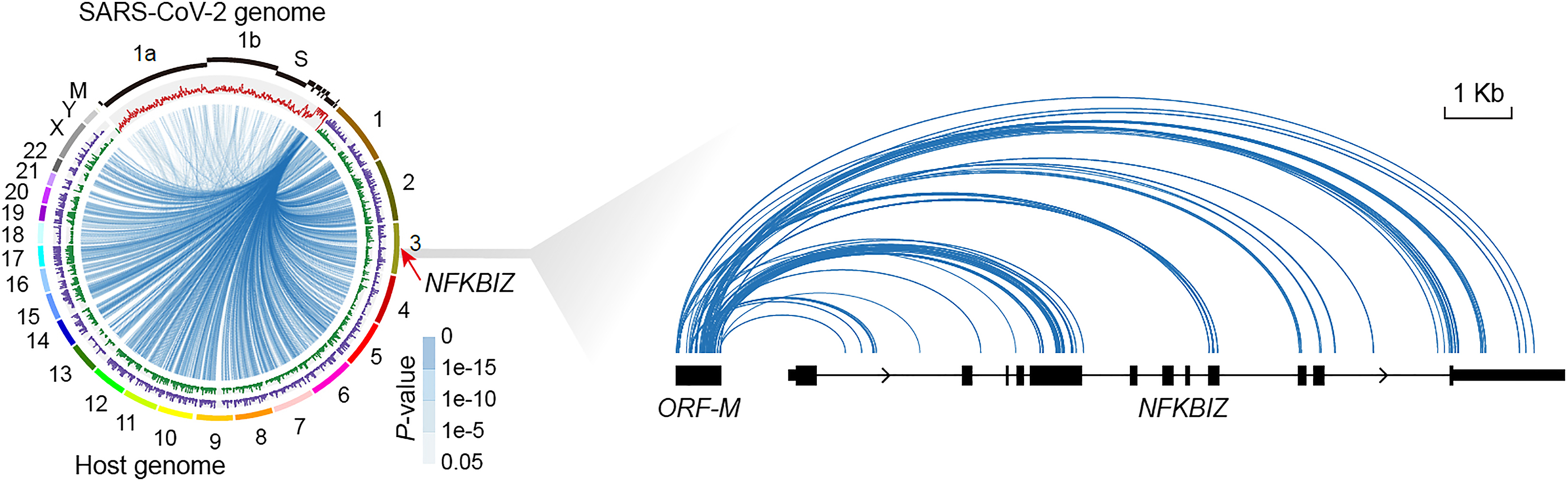 Cell Press: STAR Protocols