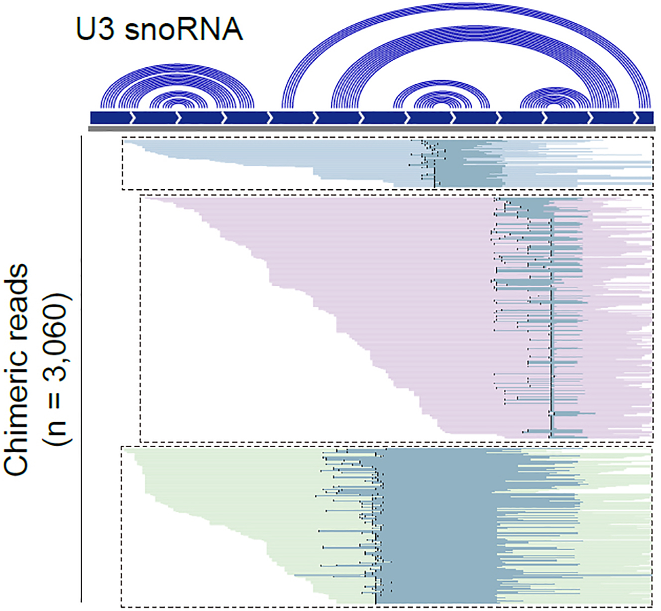 Cell Press: STAR Protocols