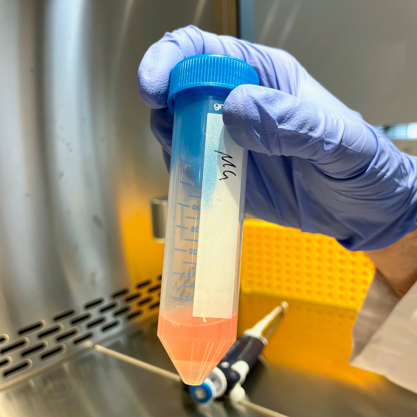 Cell Press: STAR Protocols