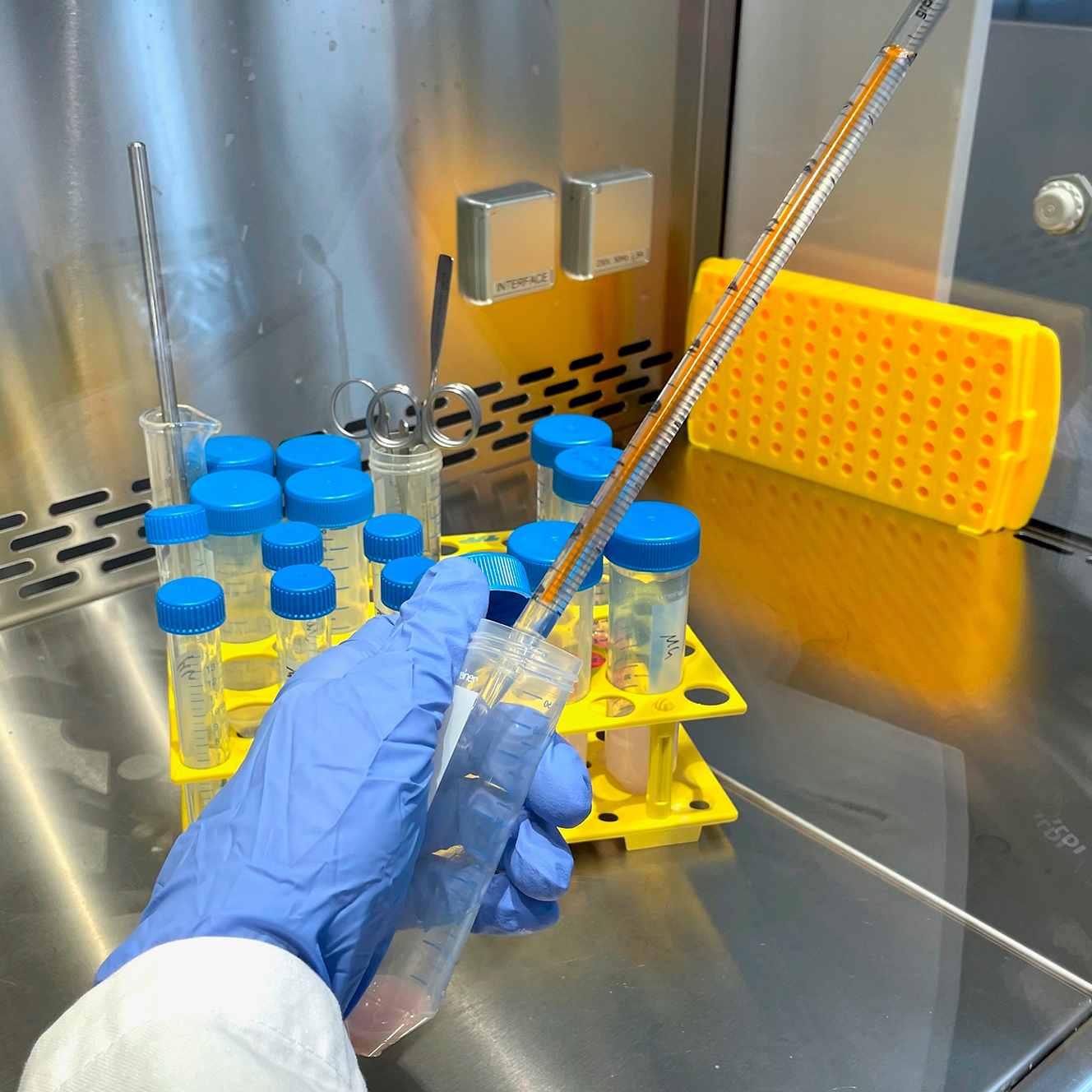 Cell Press: STAR Protocols