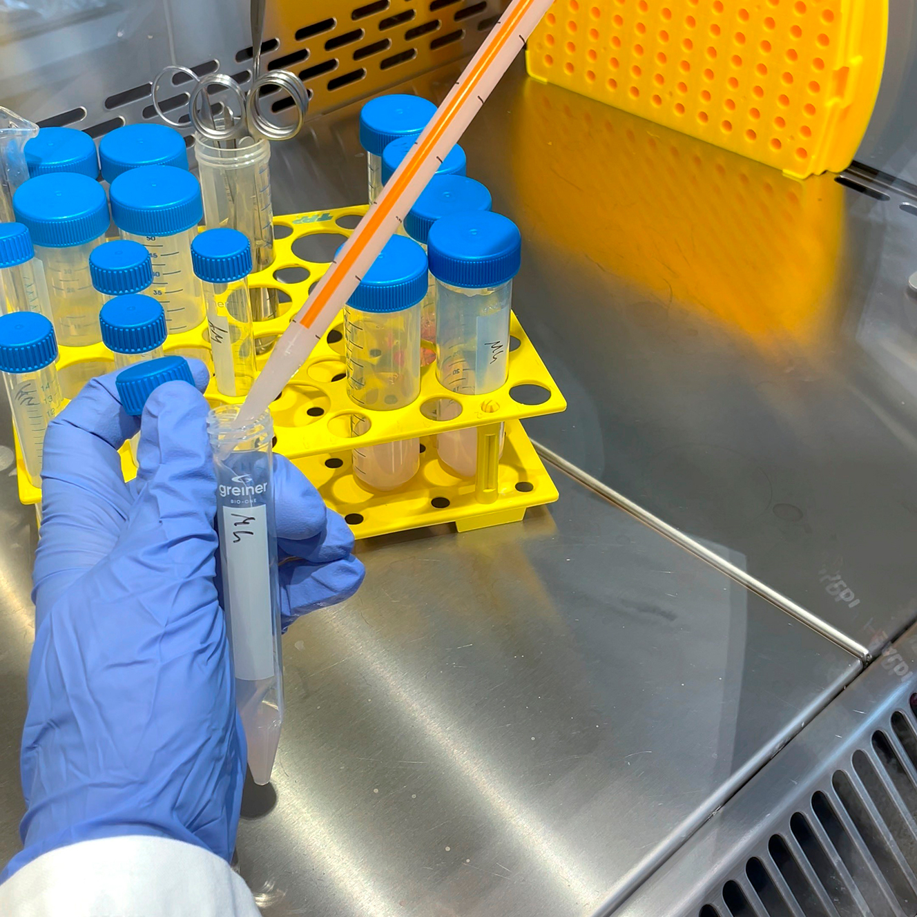 Cell Press: STAR Protocols