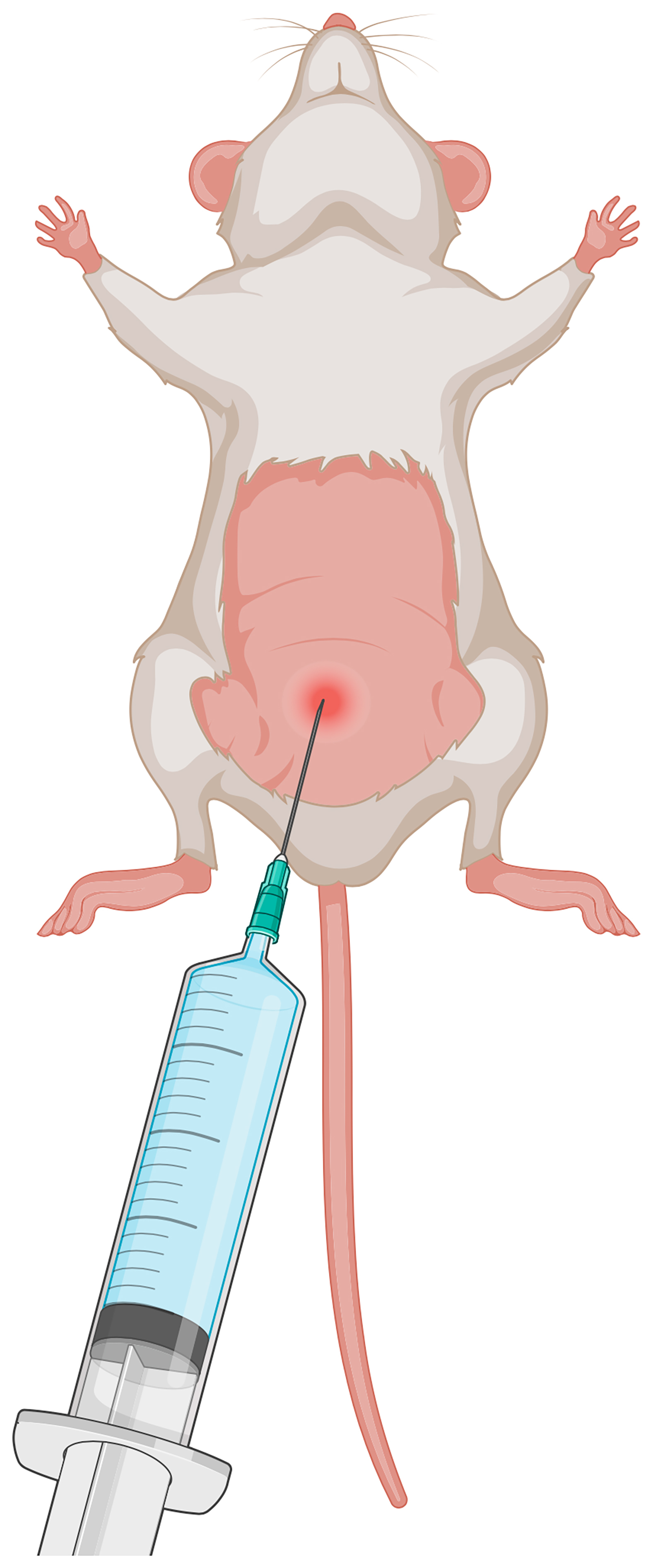 Cell Press: STAR Protocols