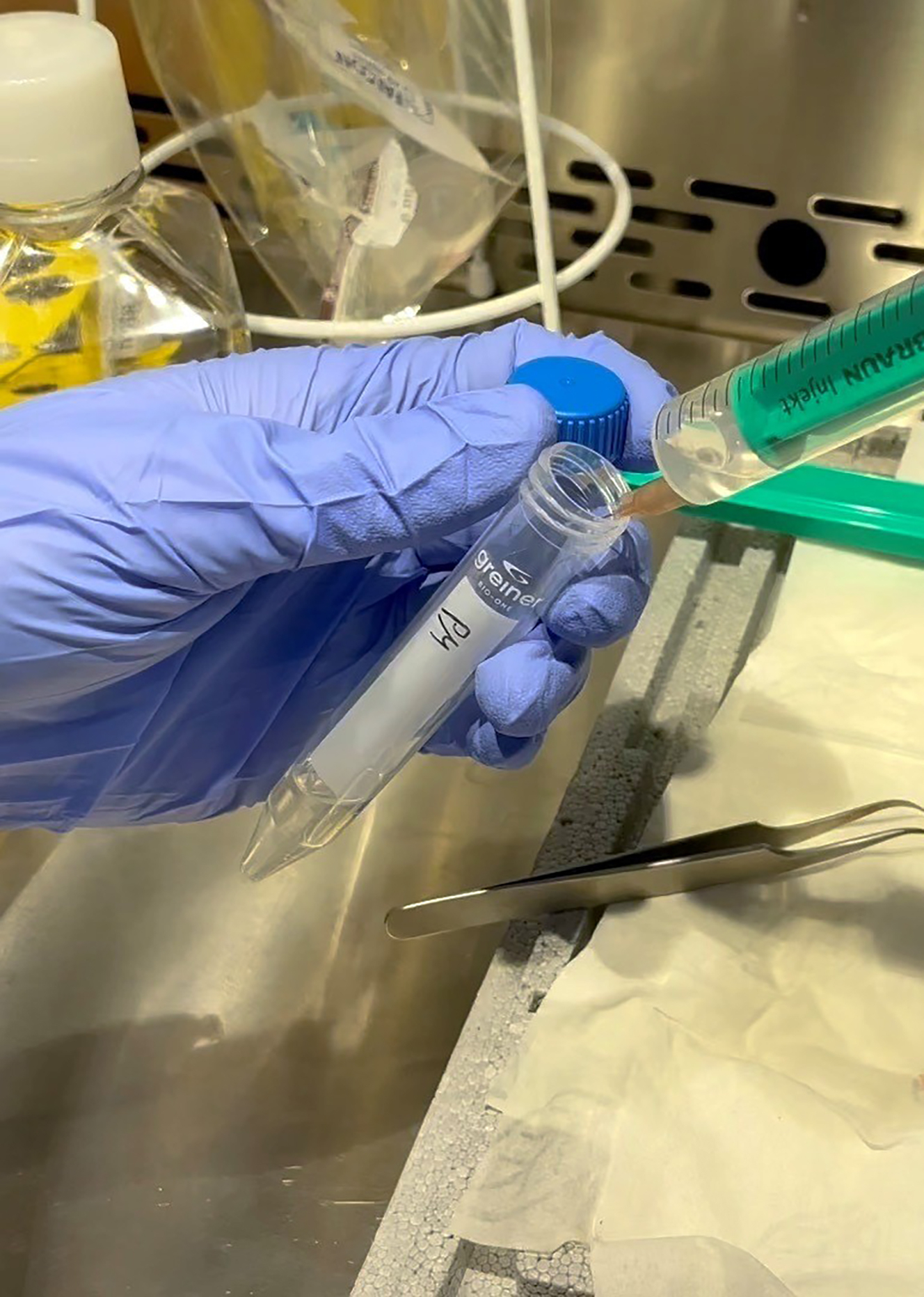 Cell Press: STAR Protocols