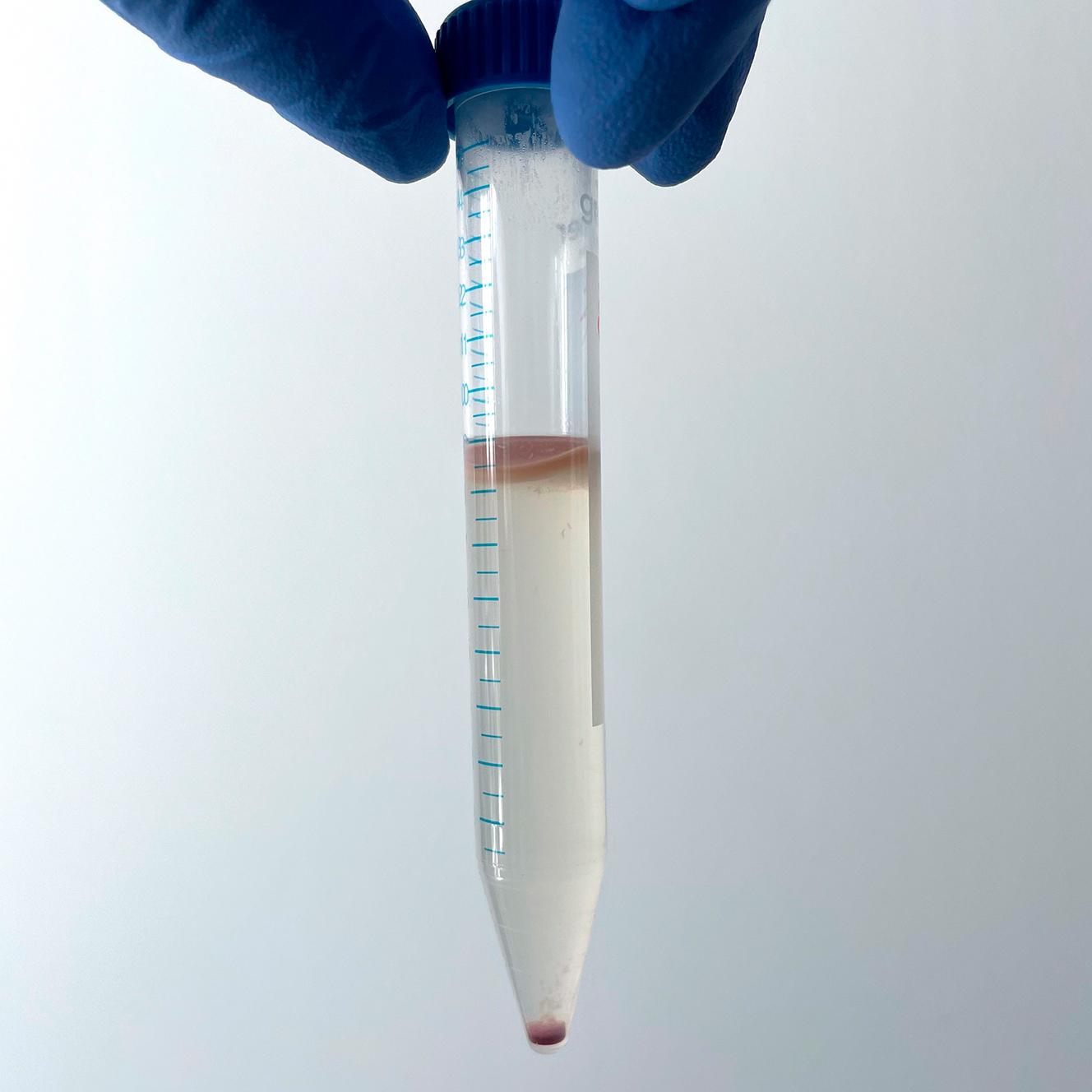 Cell Press: STAR Protocols