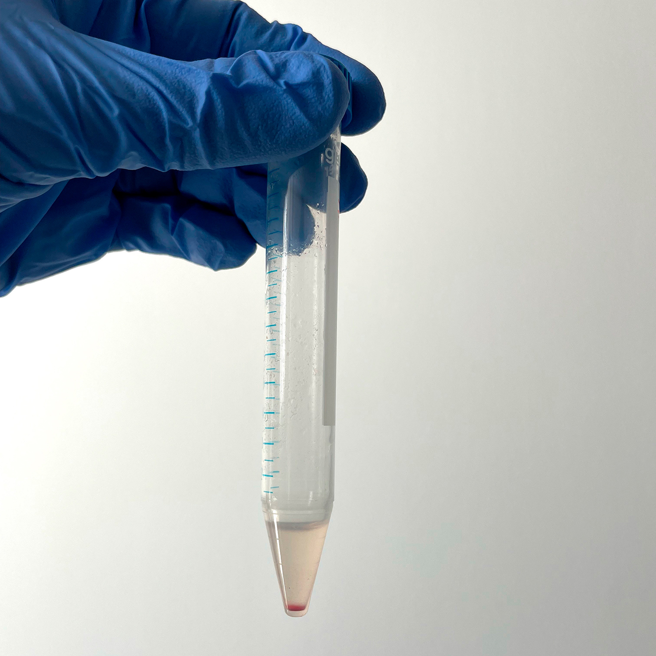 Cell Press: STAR Protocols