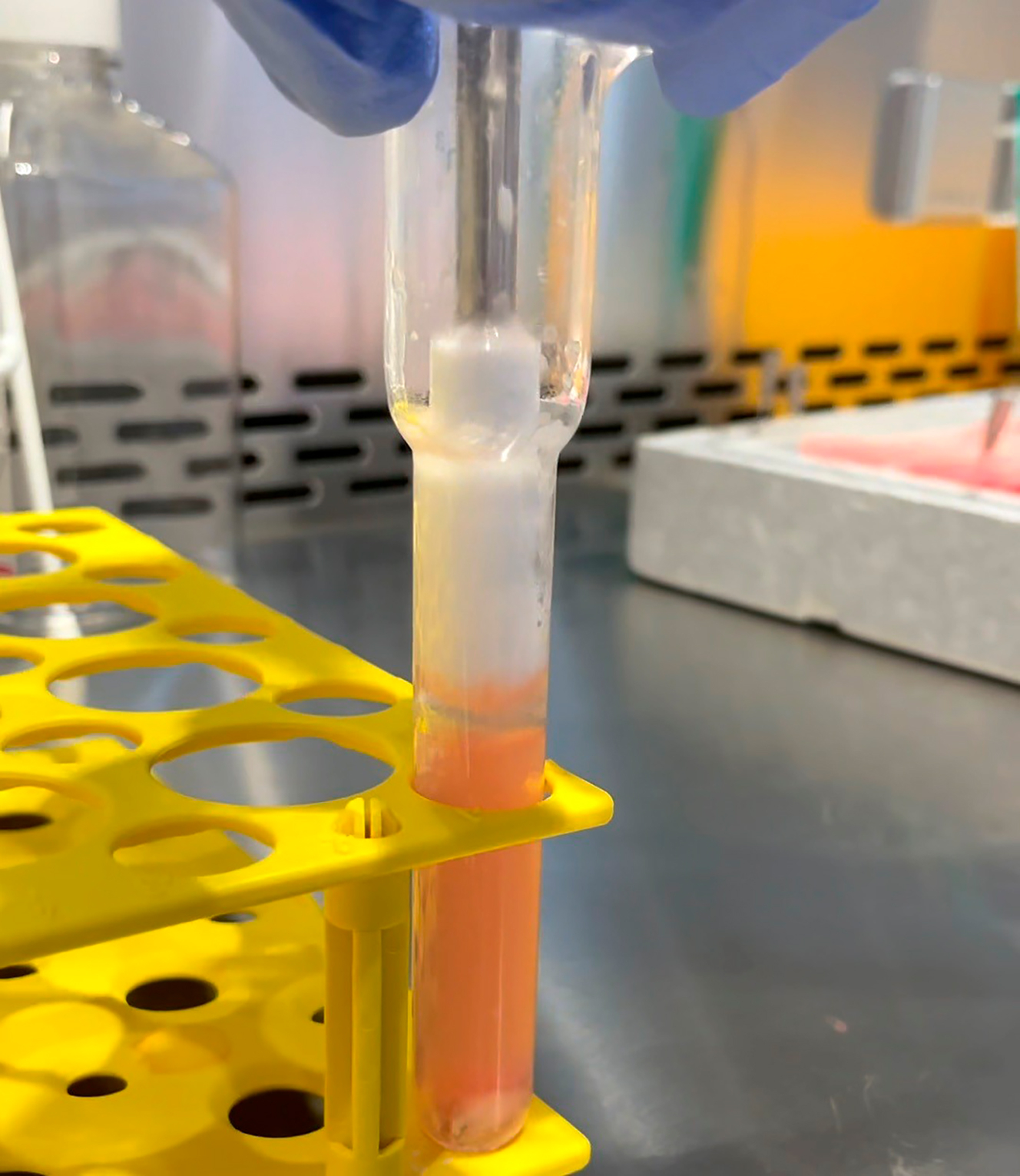 Cell Press: STAR Protocols