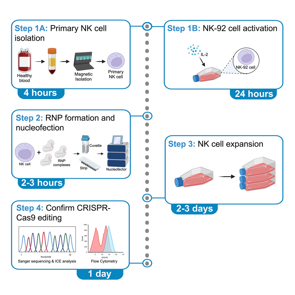 Cell Press: STAR Protocols