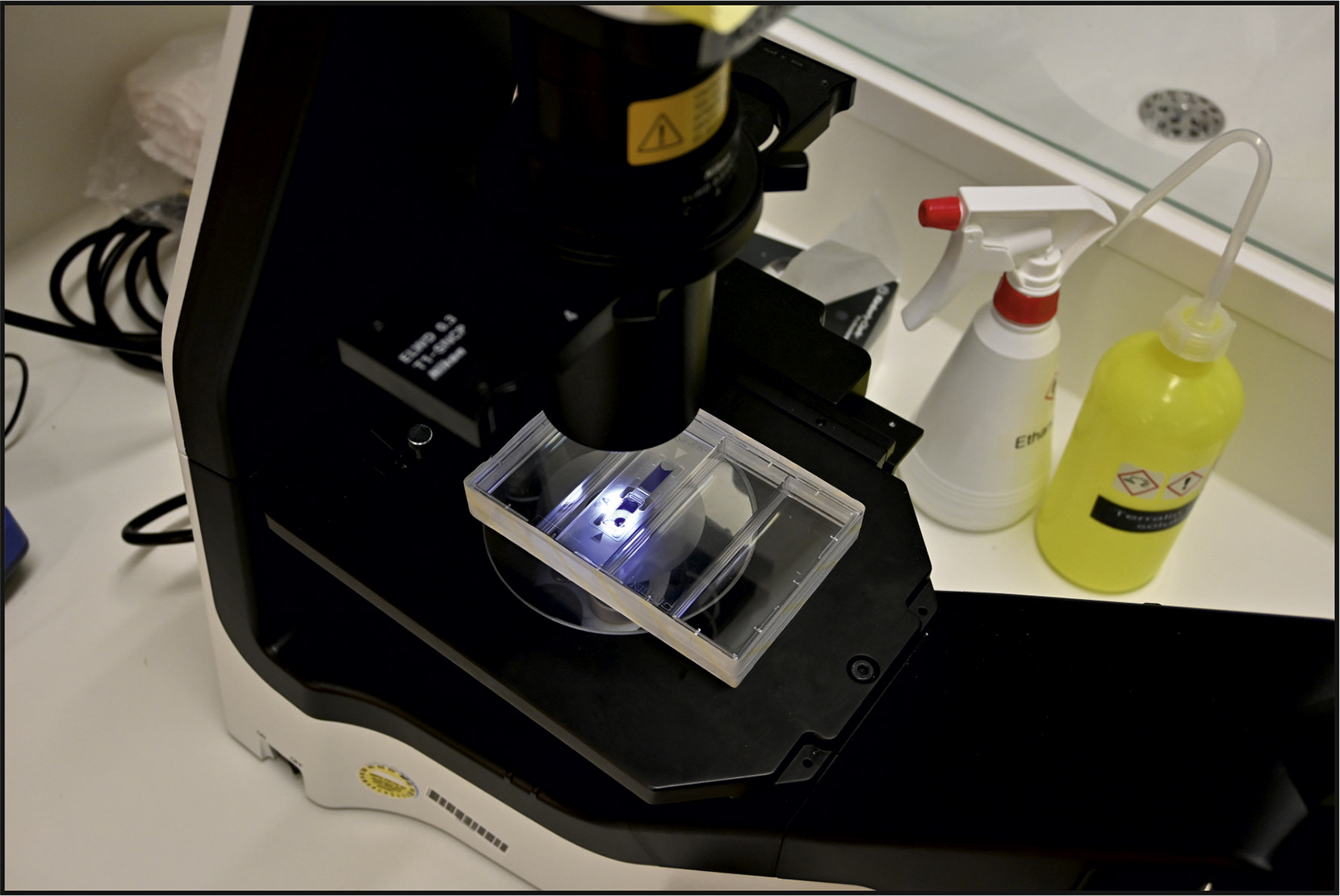 Cell Press: STAR Protocols