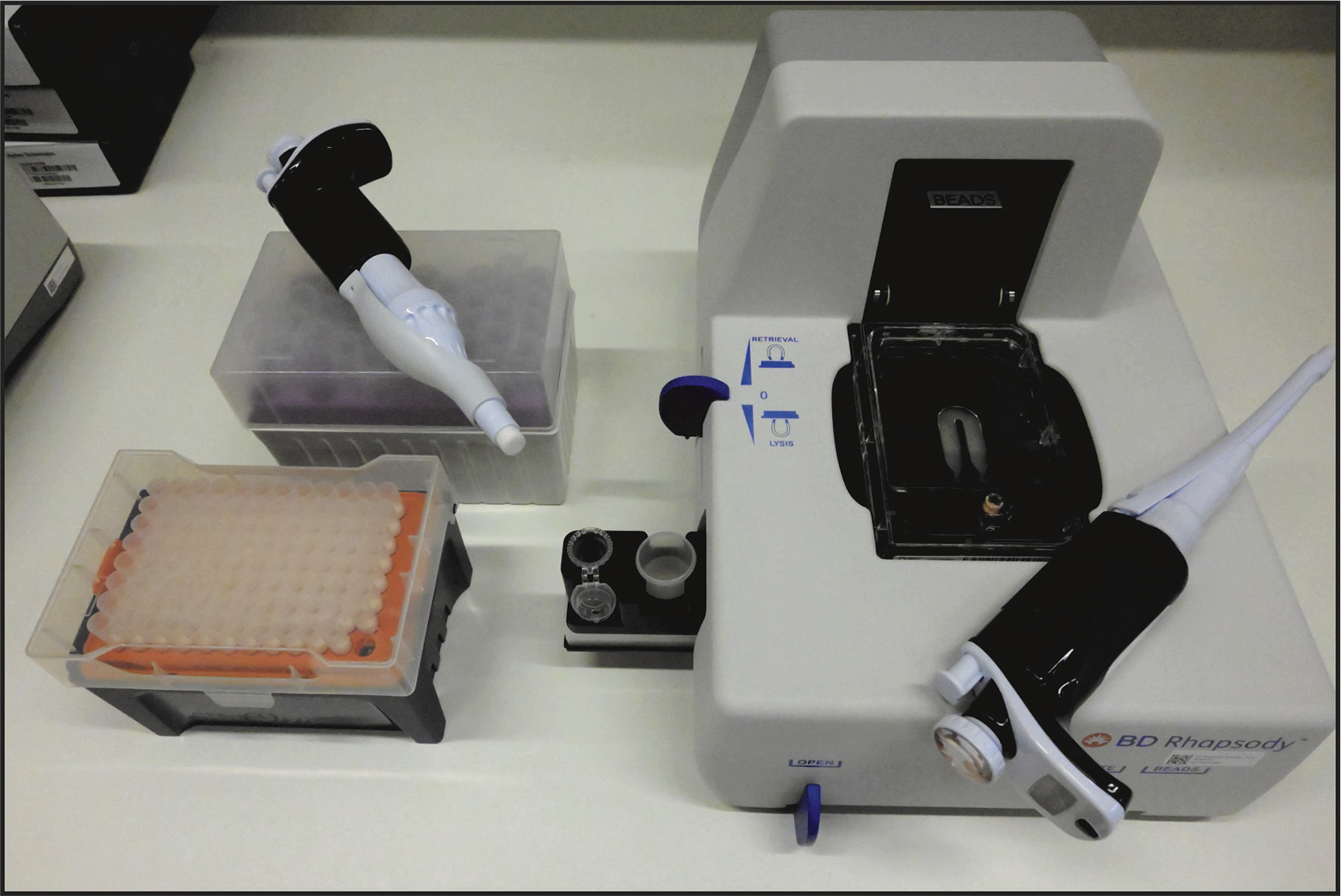 Cell Press: STAR Protocols