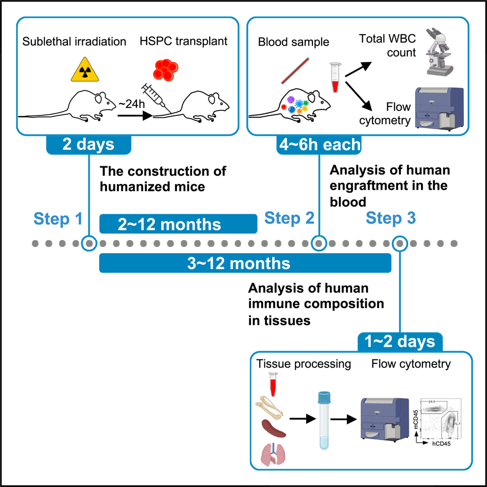 Cell Press: STAR Protocols