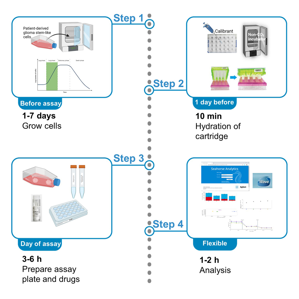 Cell Press: STAR Protocols