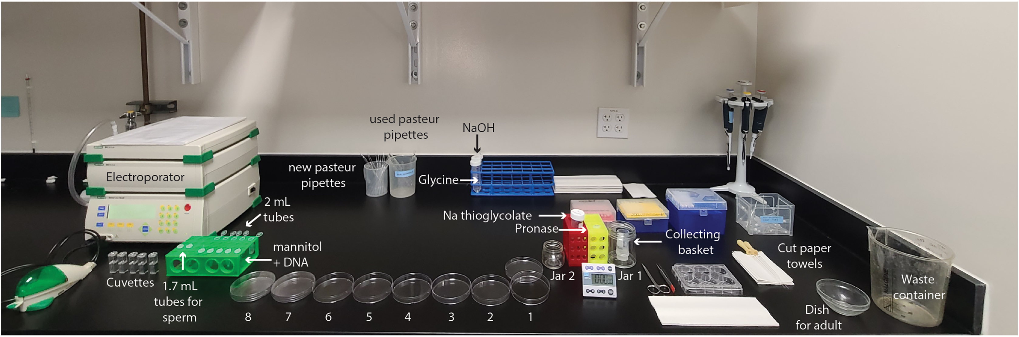 Cell Press: STAR Protocols