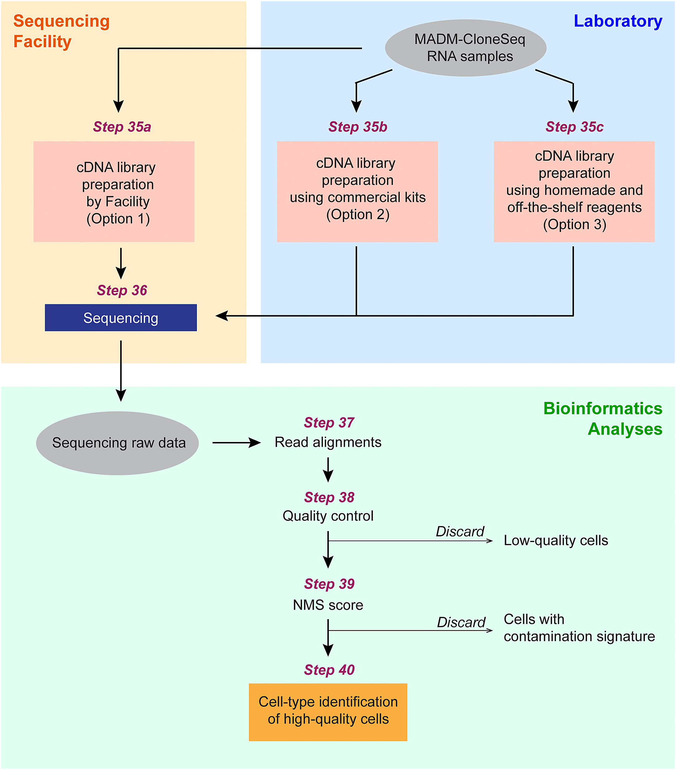 Cell Press: STAR Protocols