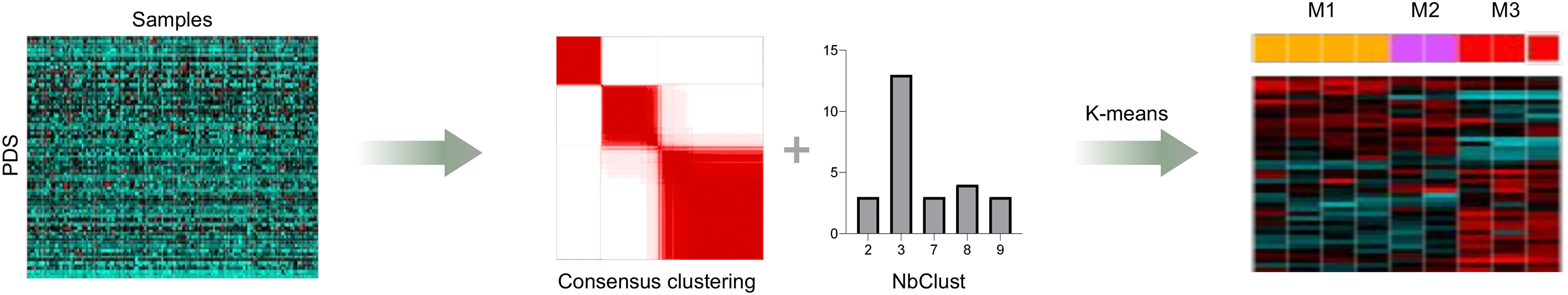 Cell Press: STAR Protocols