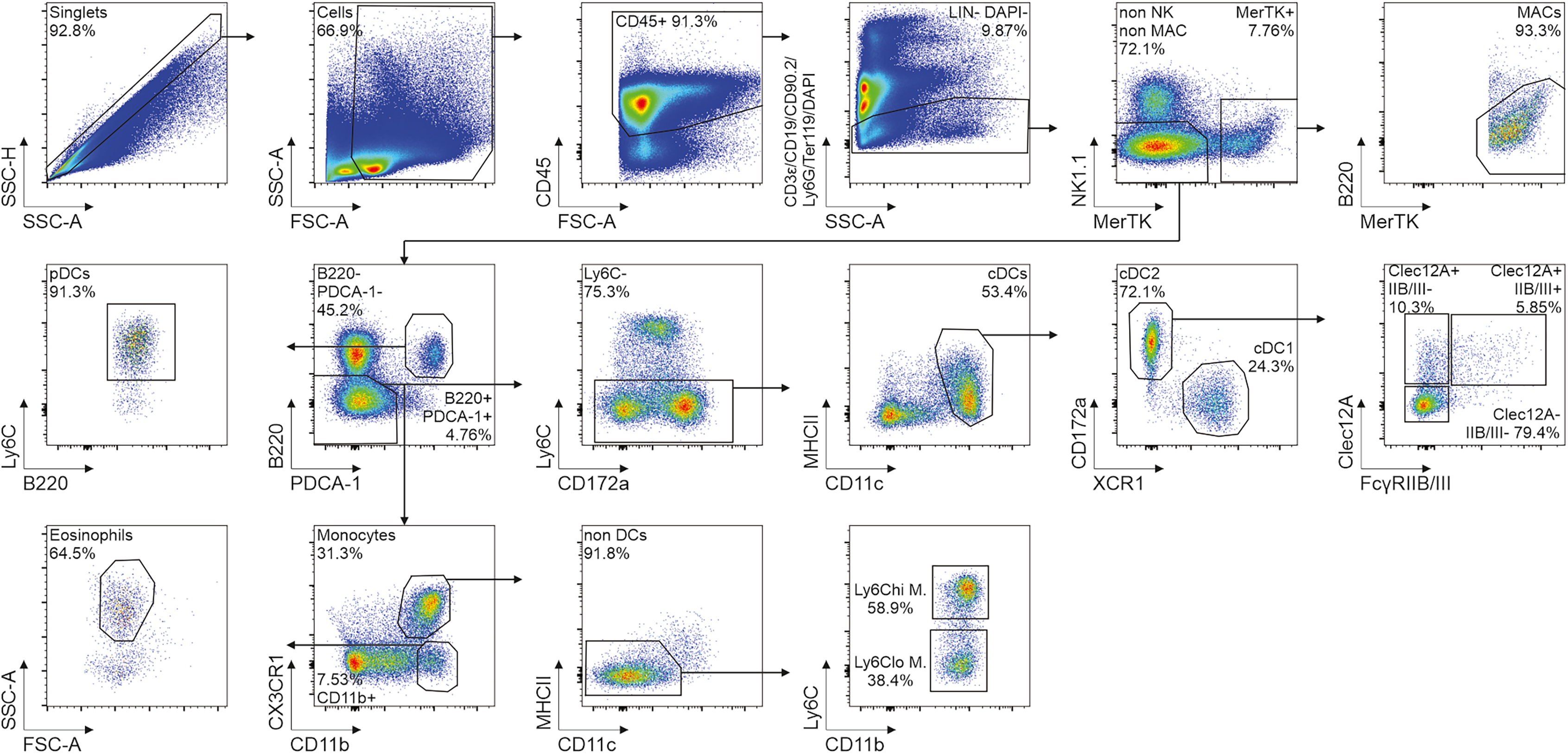 Cell Press: STAR Protocols