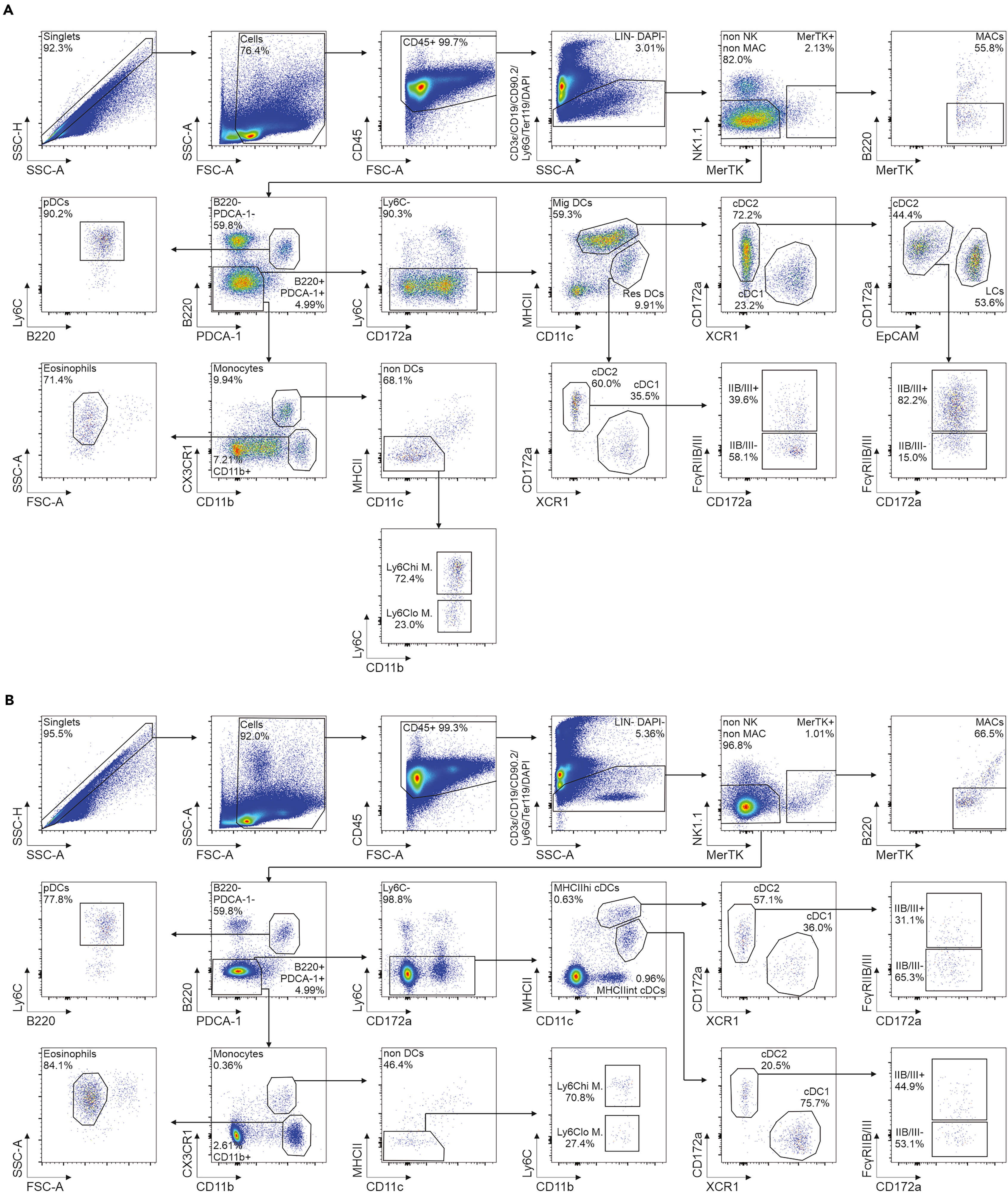 Cell Press: STAR Protocols