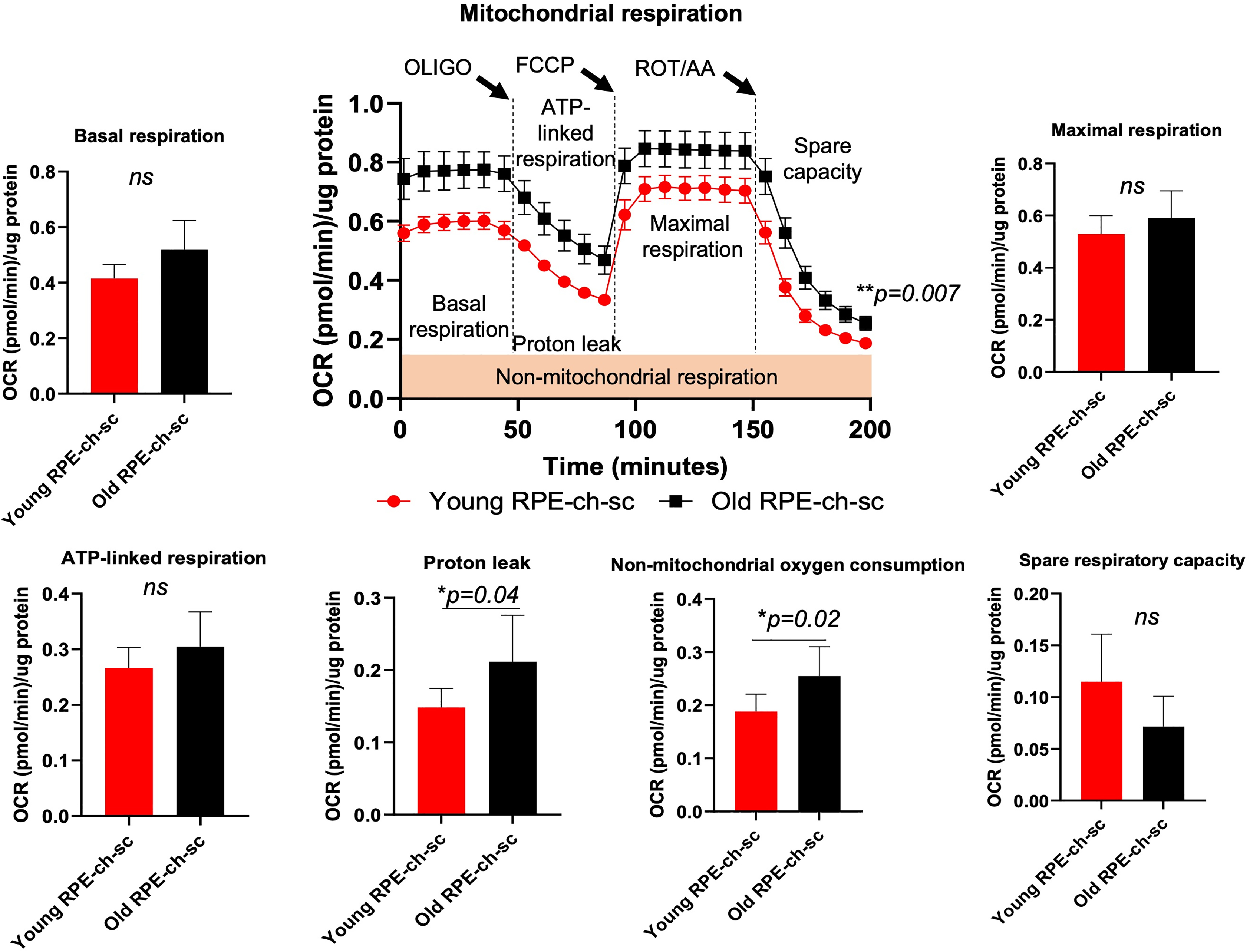 Cell Press: STAR Protocols