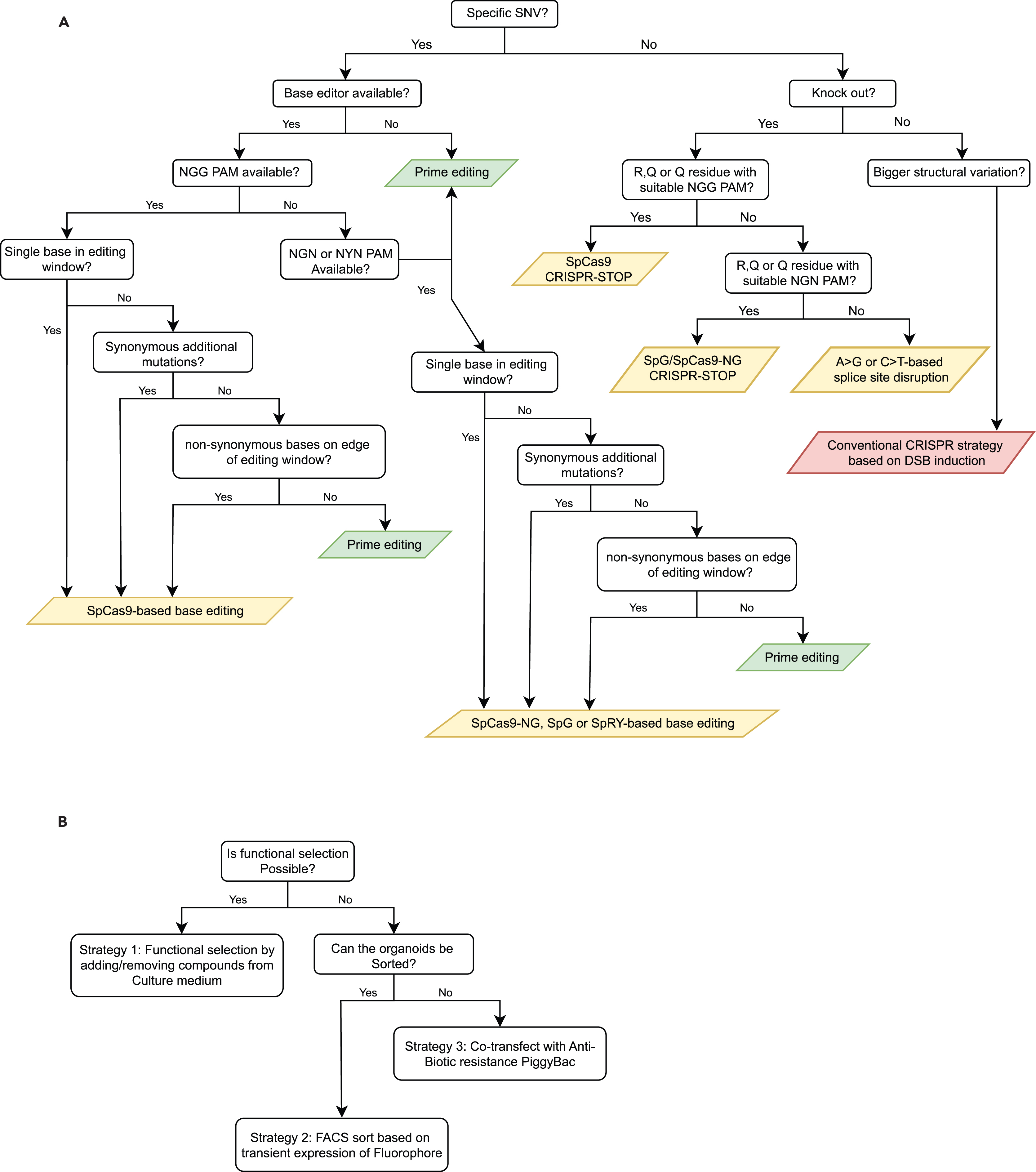Cell Press: STAR Protocols
