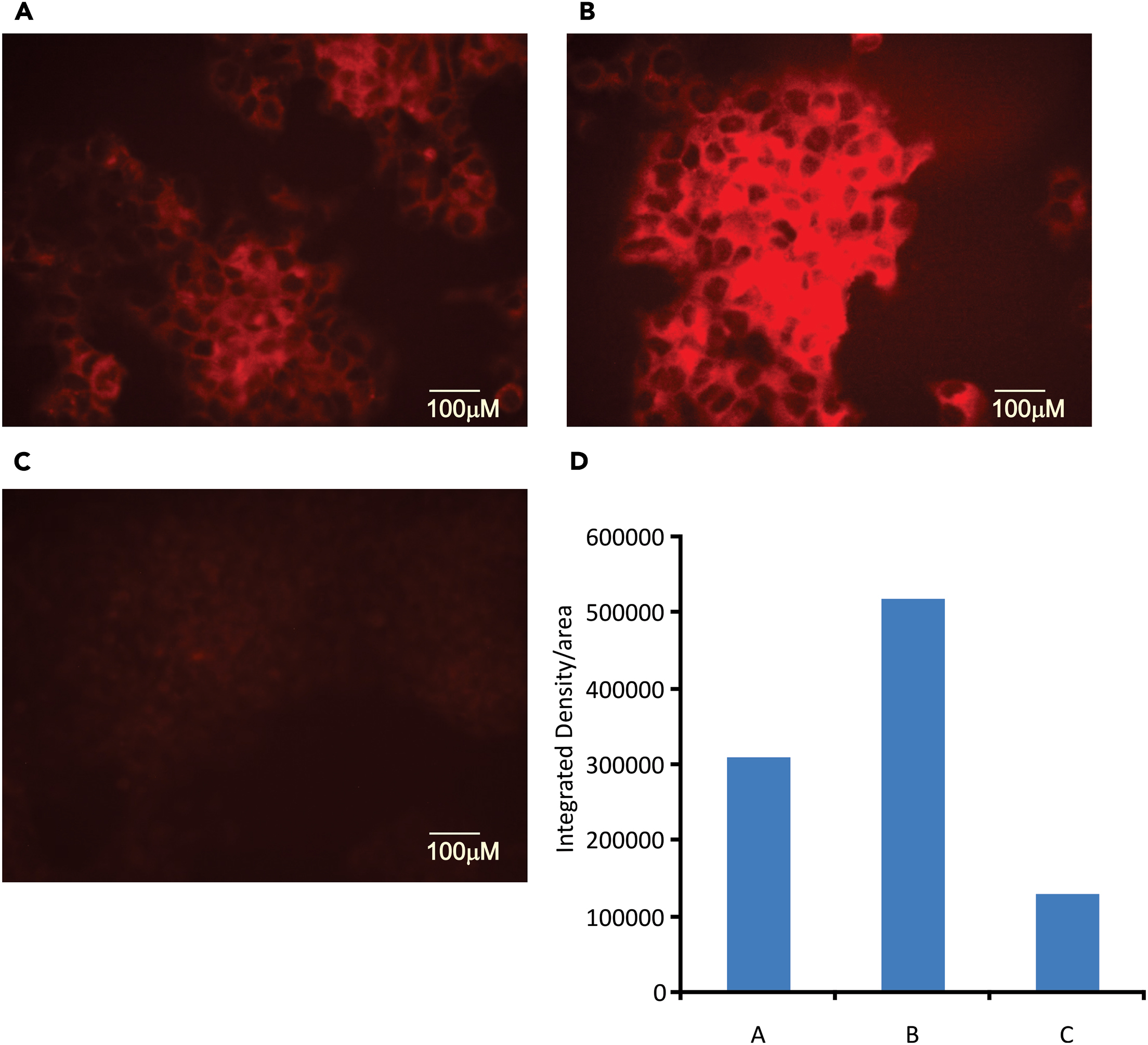Cell Press: STAR Protocols