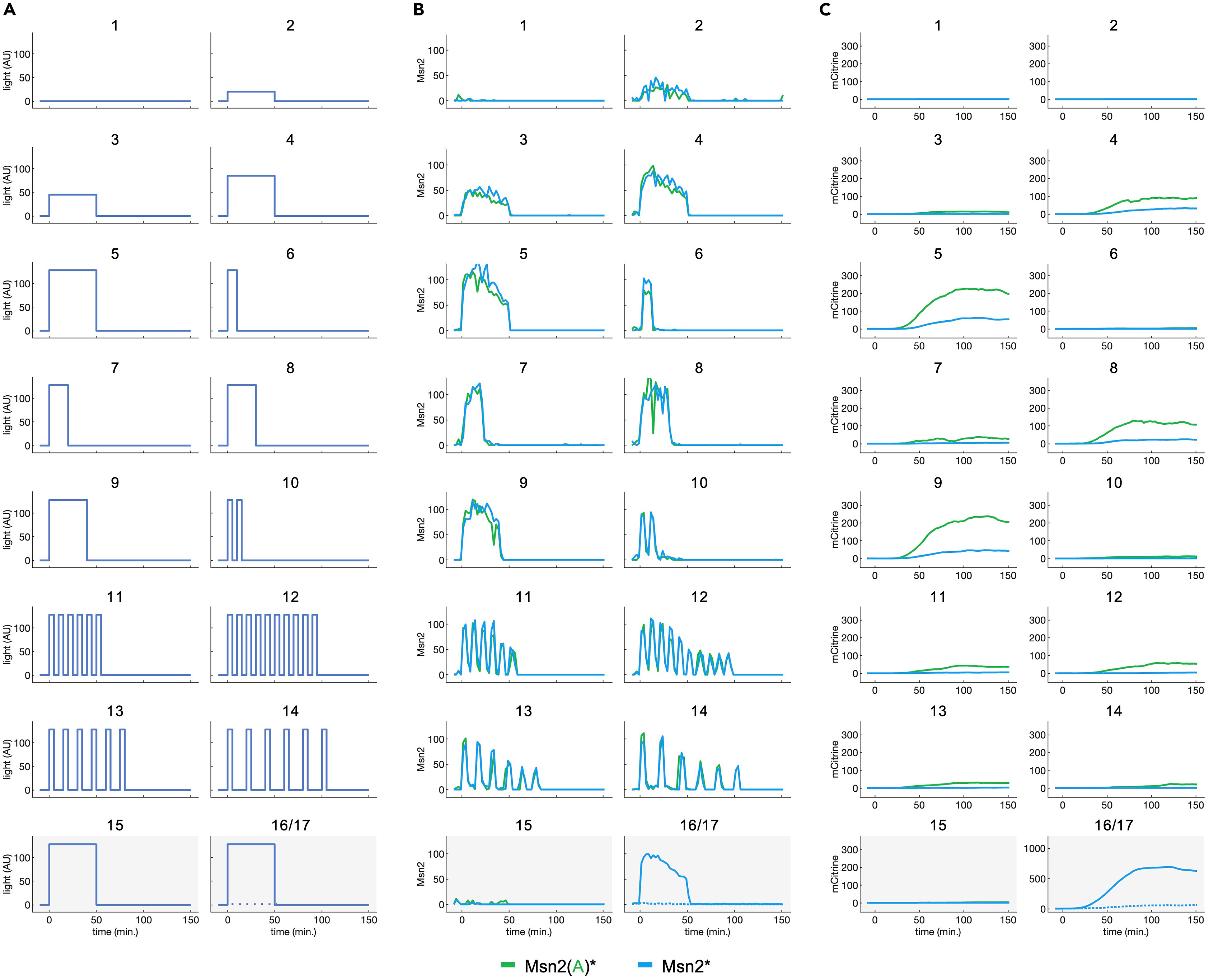 Cell Press: STAR Protocols