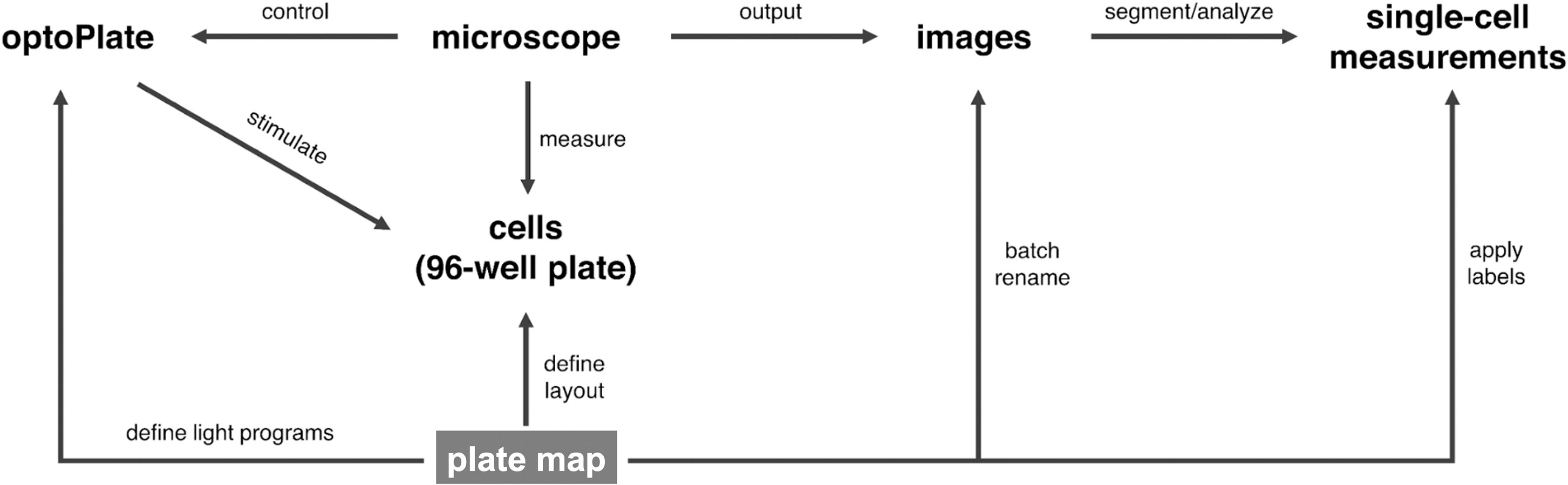 Cell Press: STAR Protocols