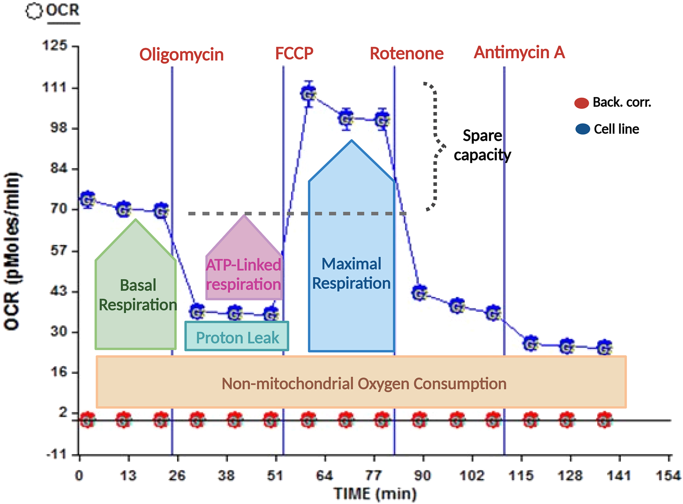 Cell Press: STAR Protocols