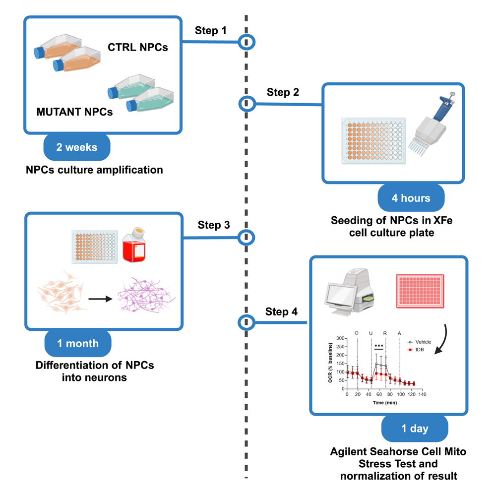 Cell Press: STAR Protocols