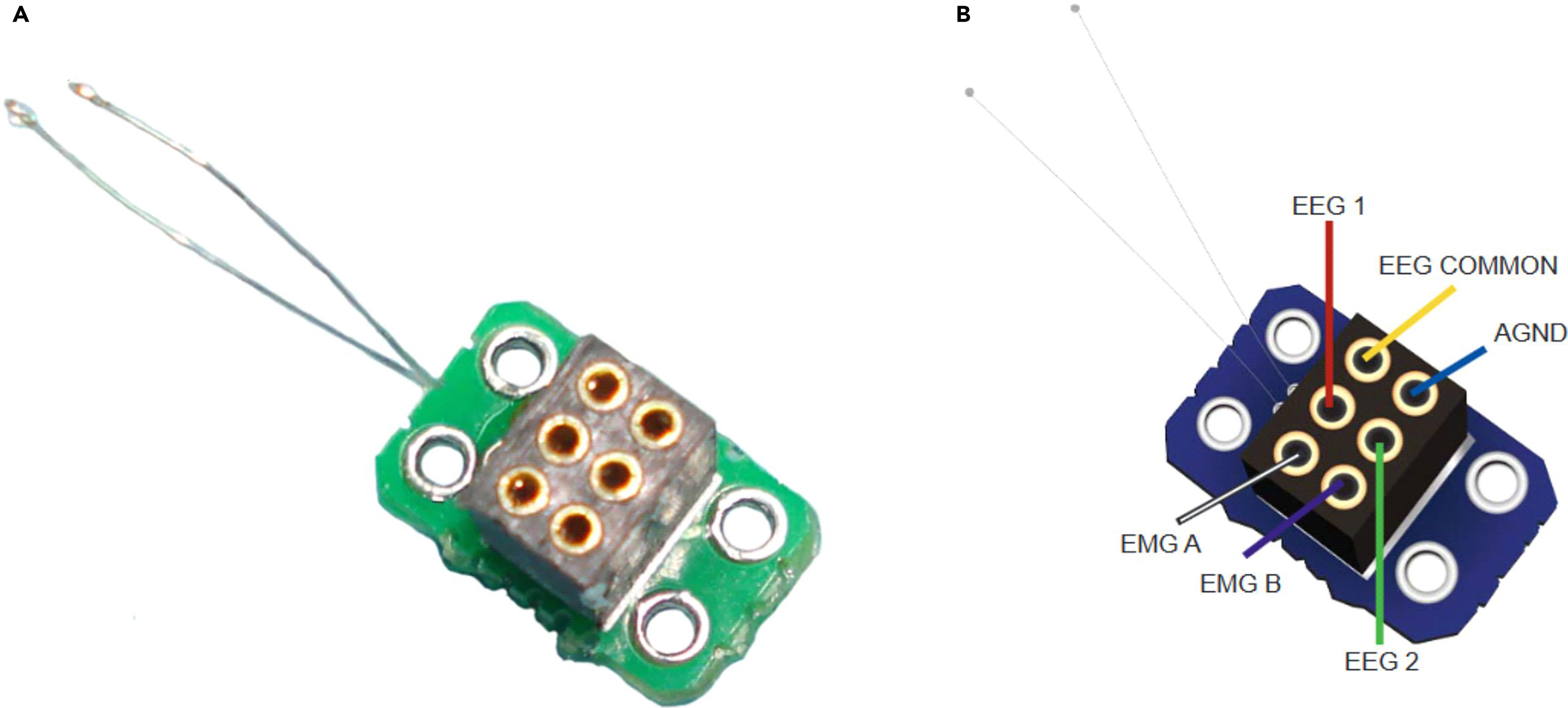 Cell Press: STAR Protocols