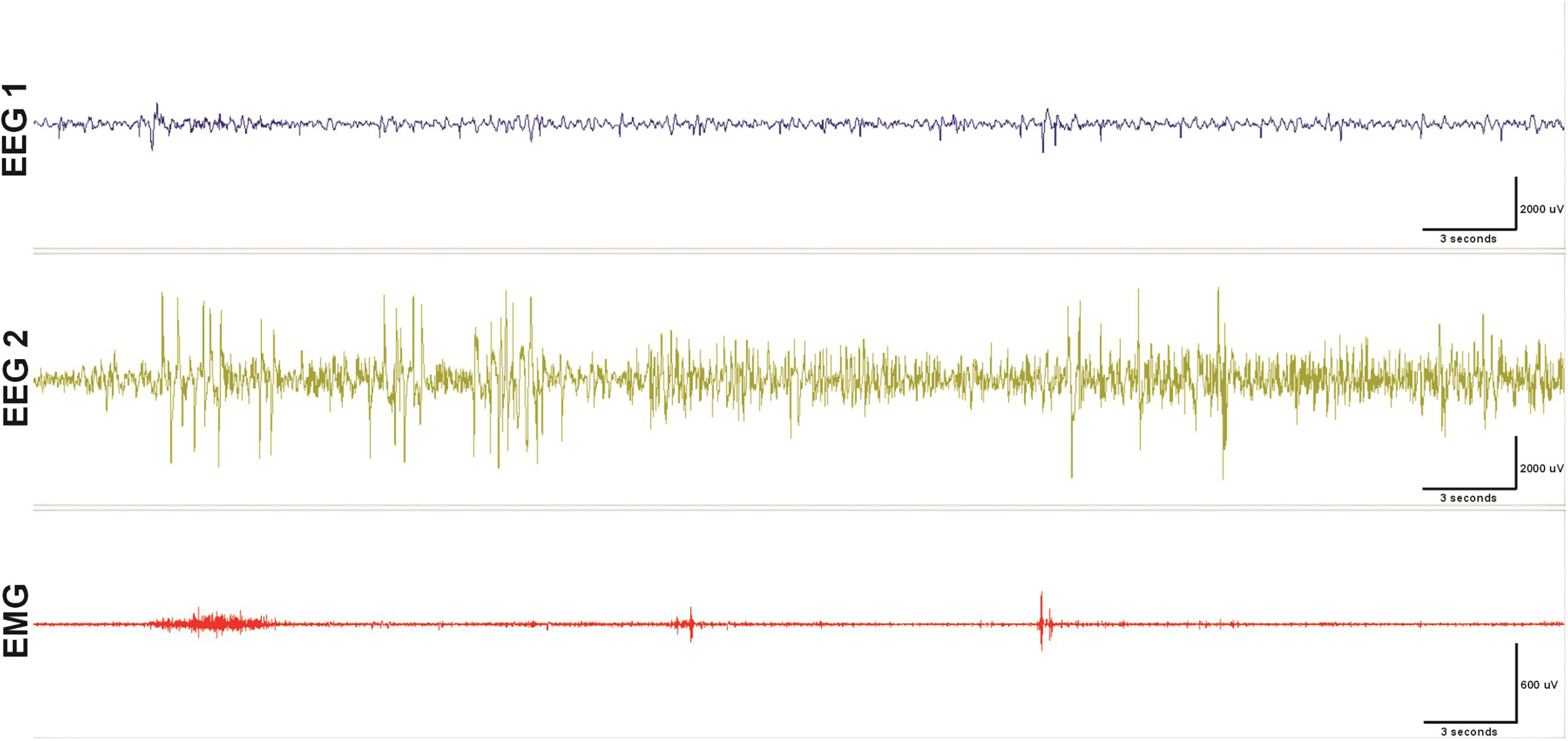 Cell Press: STAR Protocols