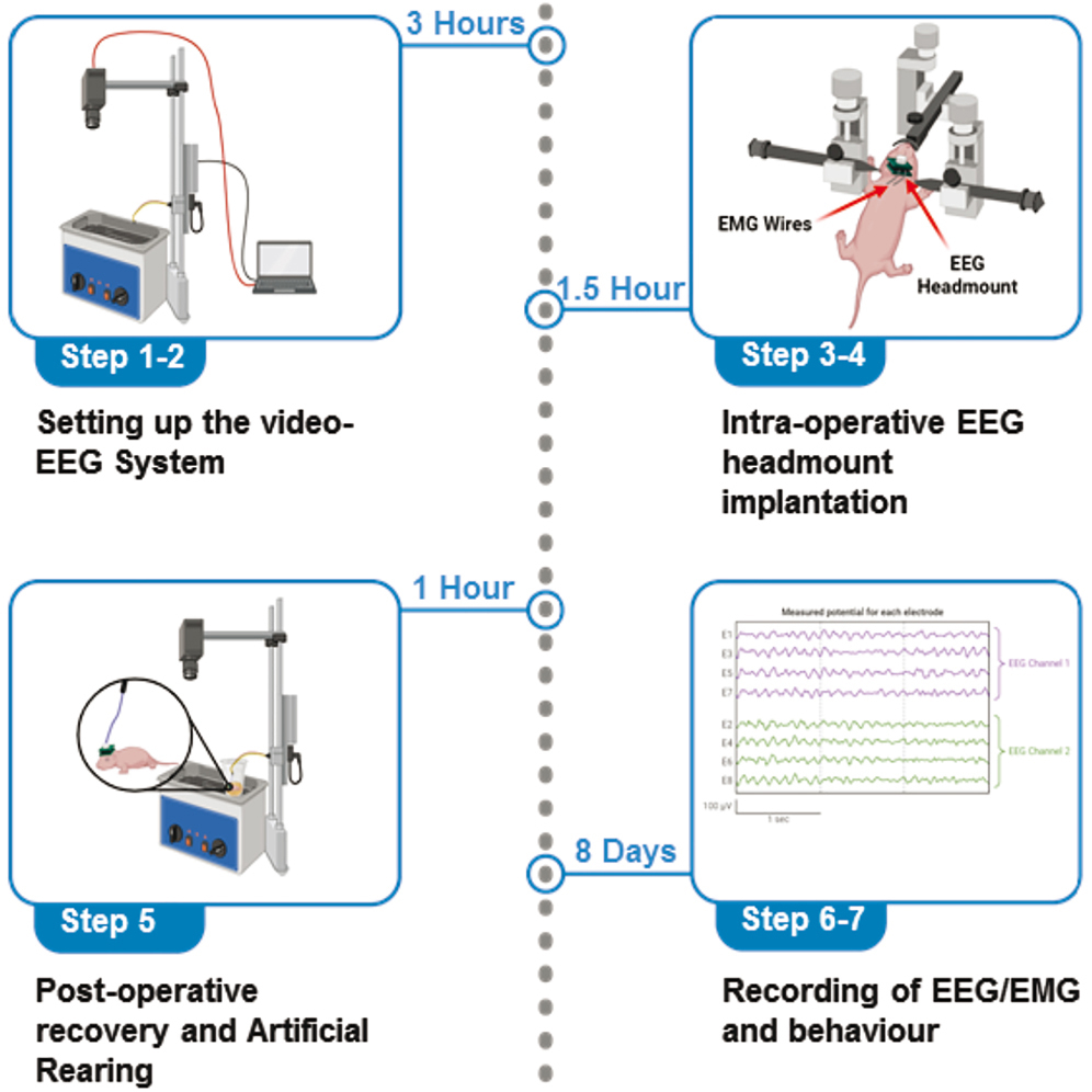 Cell Press: STAR Protocols