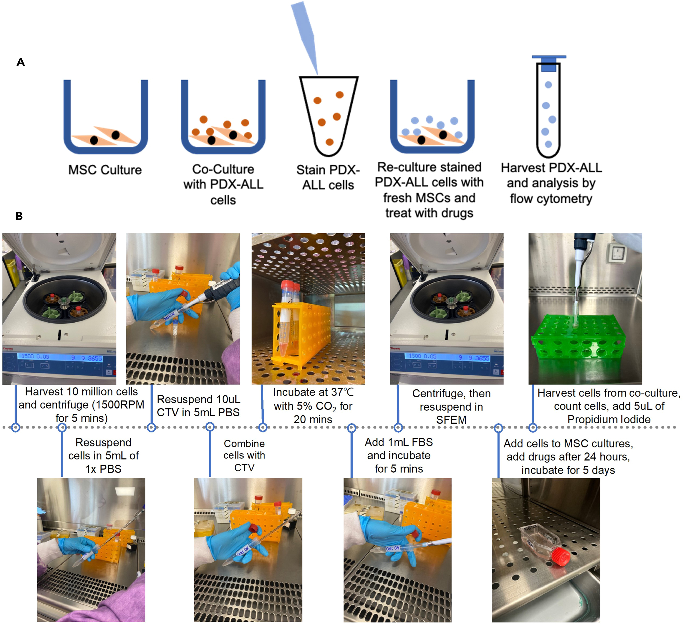 Cell Press: STAR Protocols