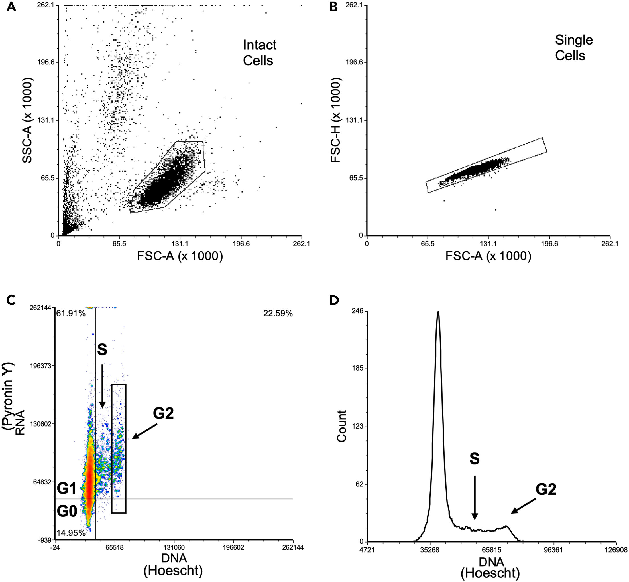 Cell Press: STAR Protocols