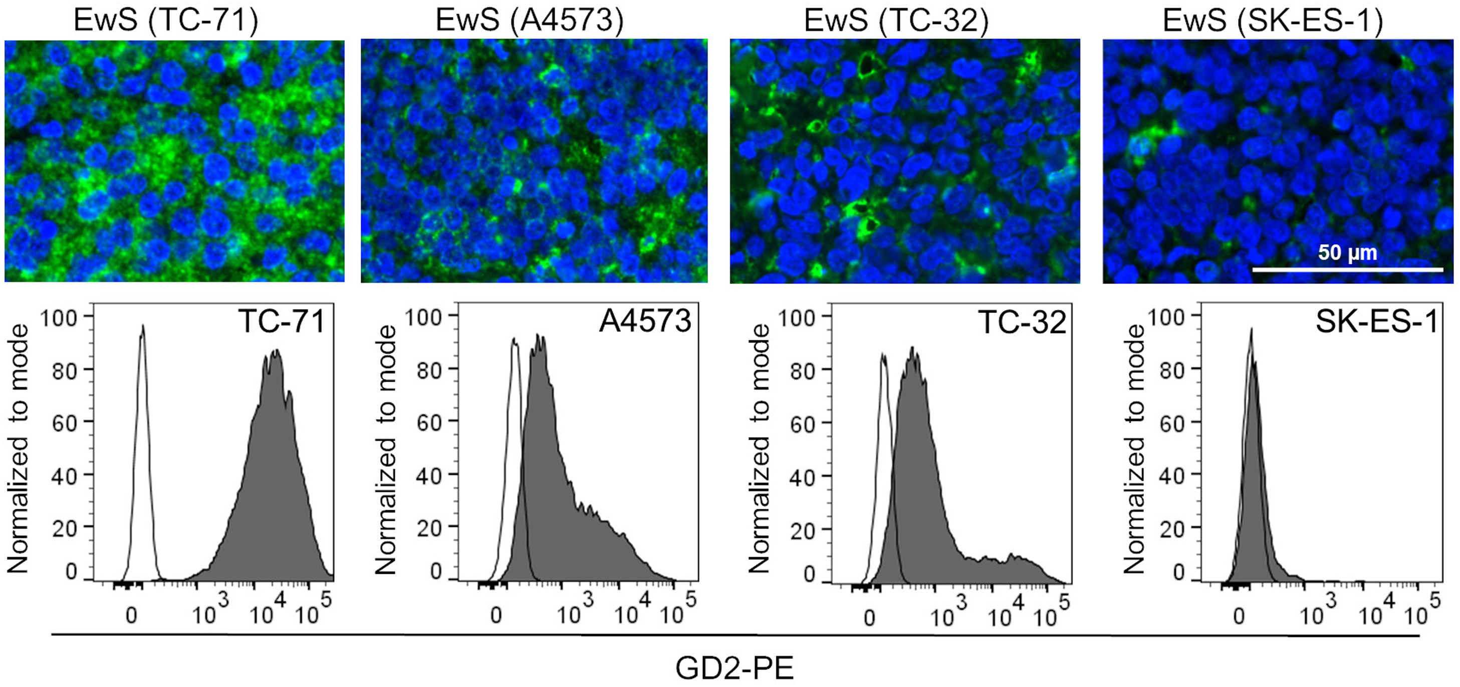 Cell Press: STAR Protocols