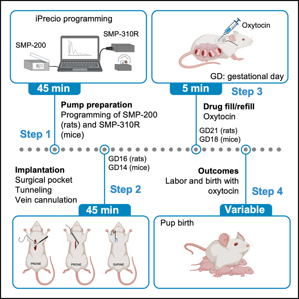 Cell Press: STAR Protocols