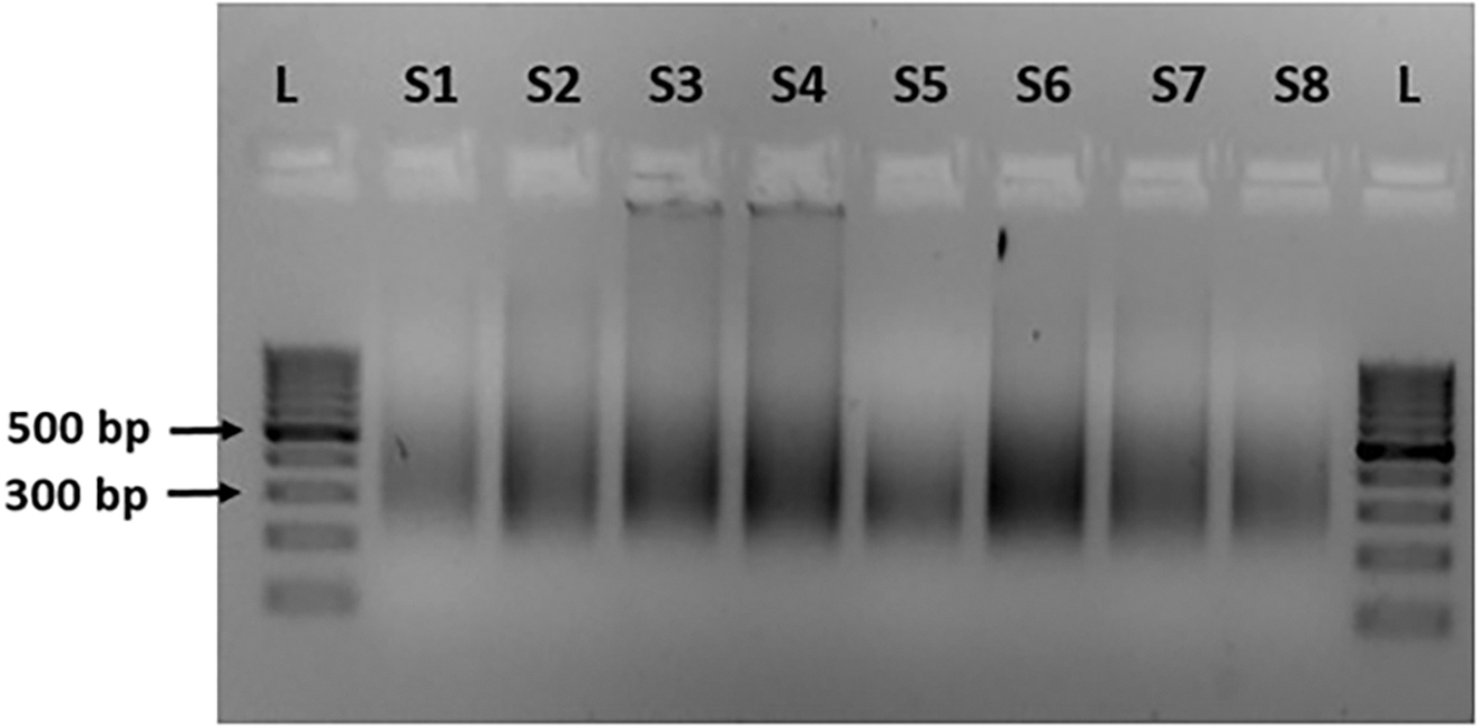 Cell Press: STAR Protocols