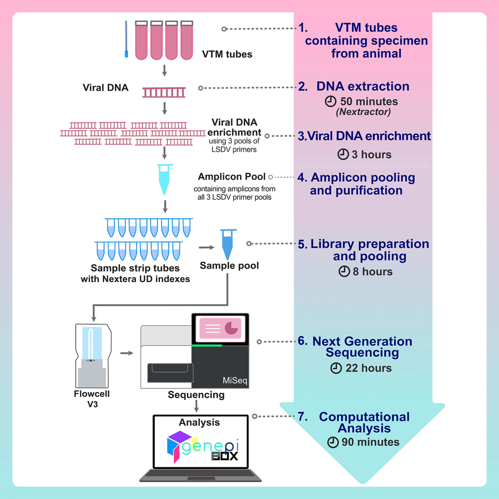 Cell Press: STAR Protocols