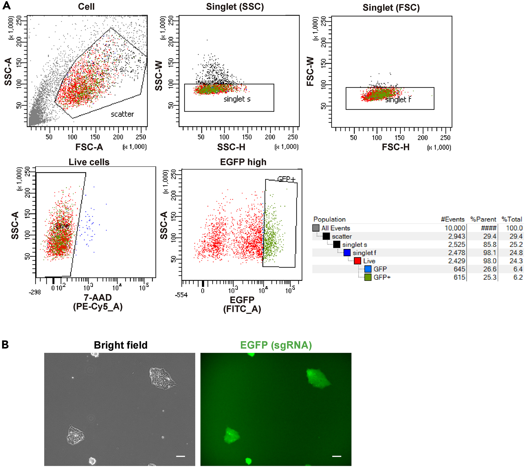 Cell Press: STAR Protocols